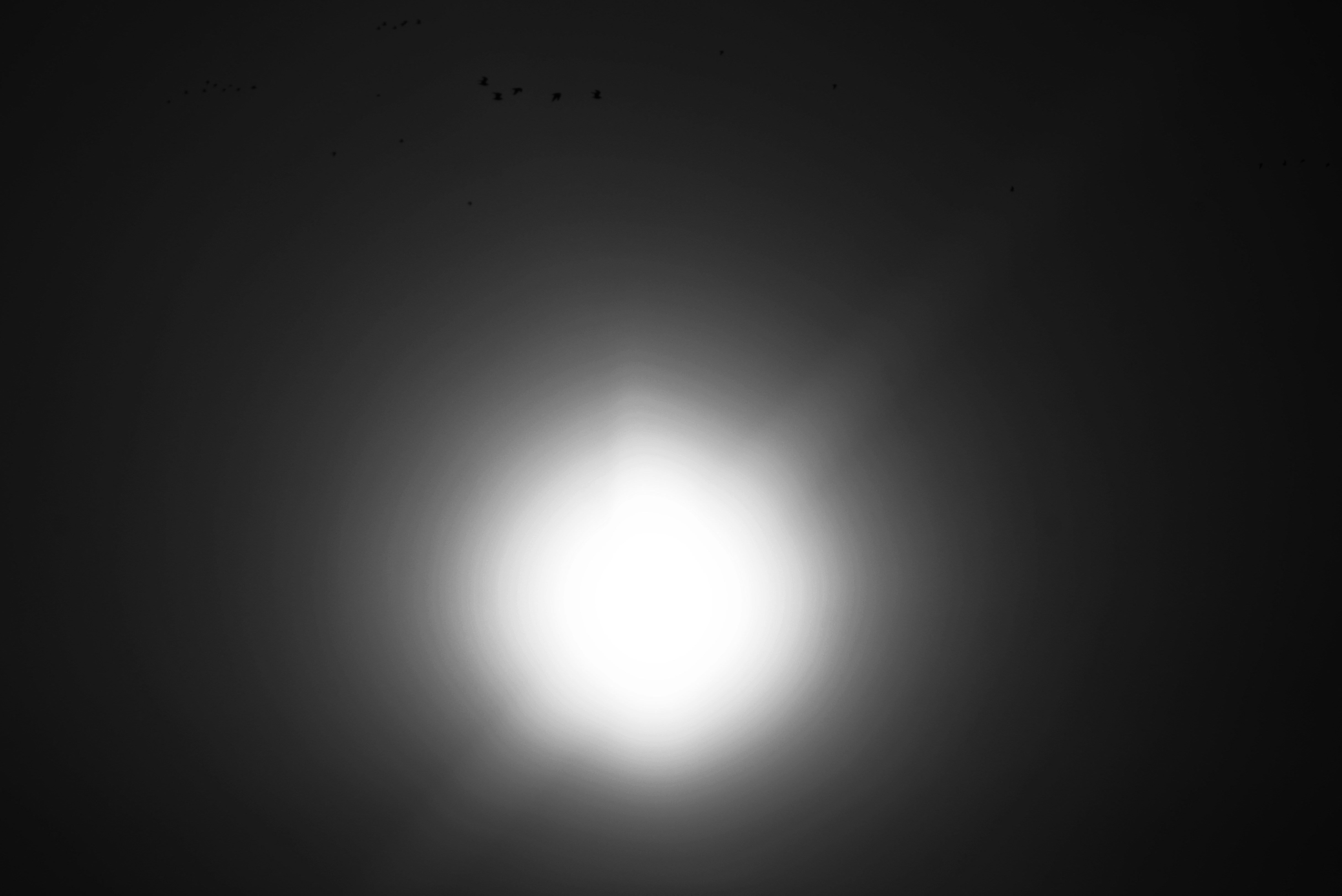 A radiant orb of light surrounded by a darkened ambiance, creating a striking contrast that draws the eye.