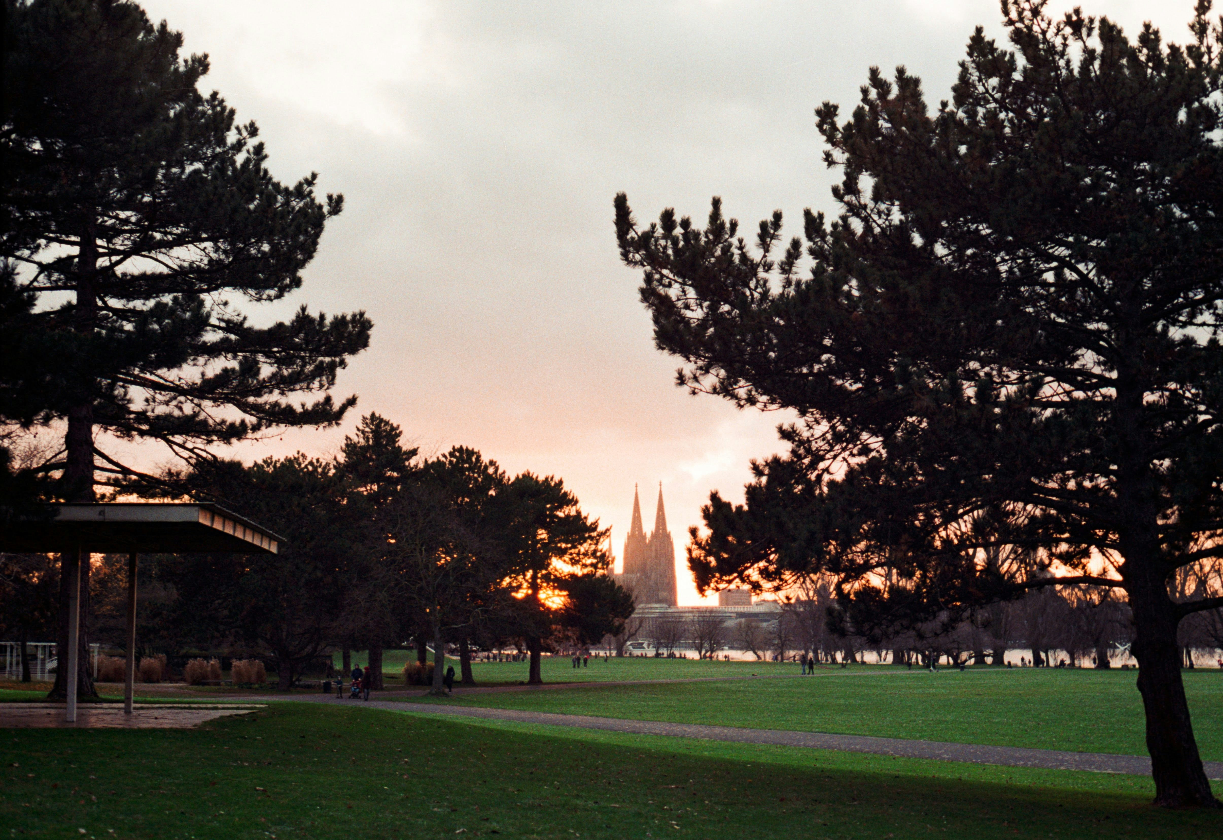 Distant cathedral spires framed by silhouetted trees at sunset.