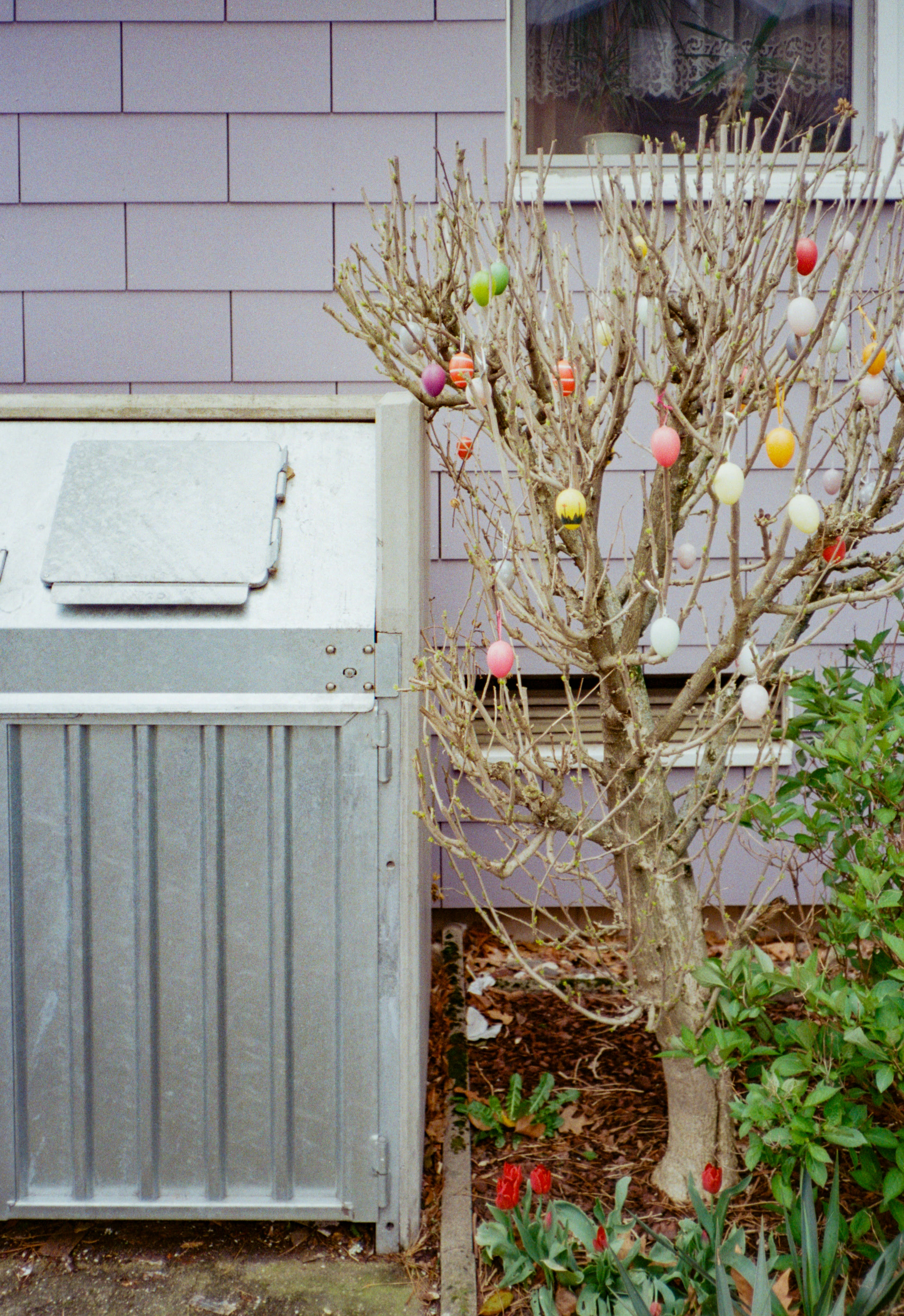 A bare tree is decorated with easter eggs. photo – Free Easter Image on ...