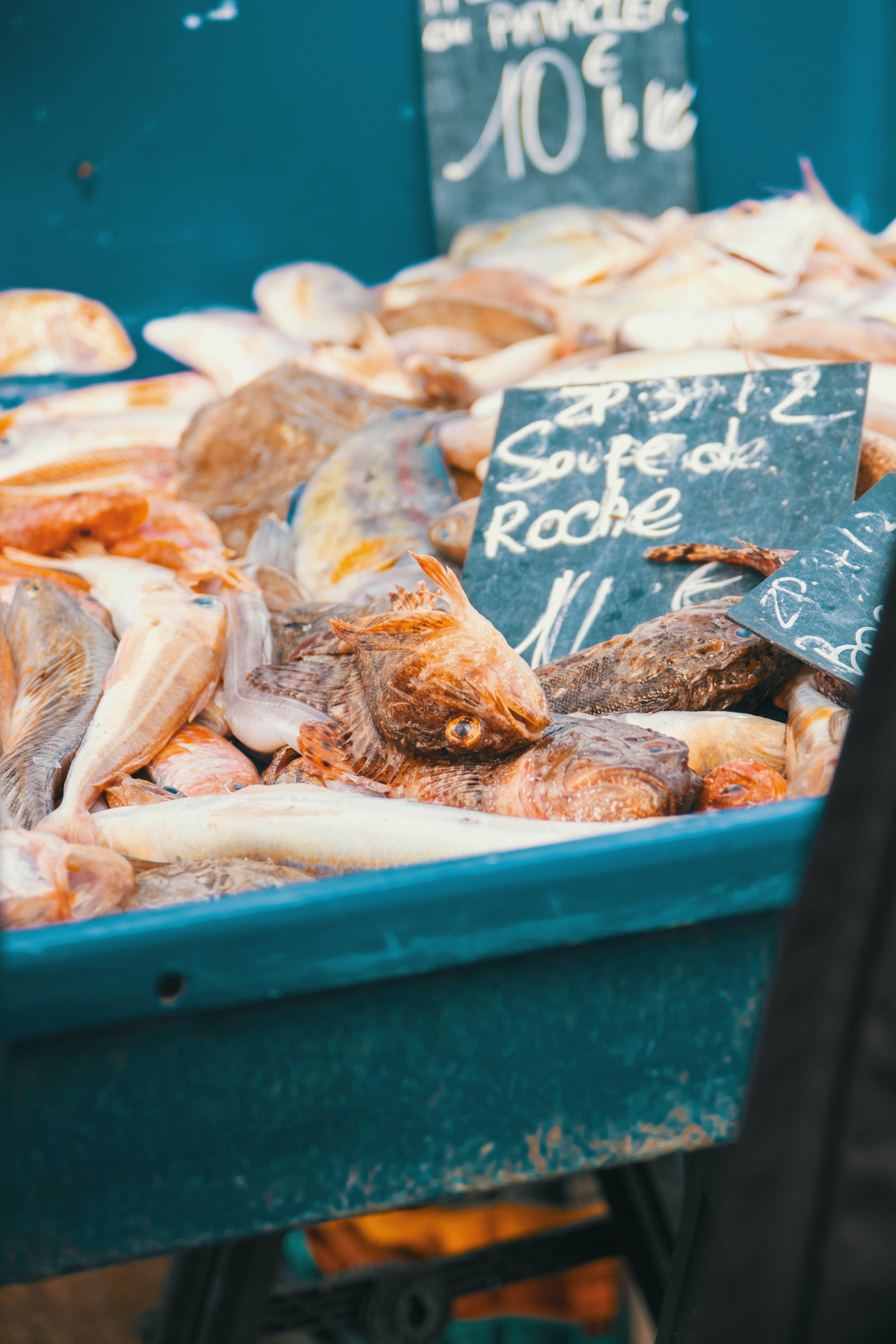 Blue Crate Harvest: Fresh Fish Piled in a Market Stall