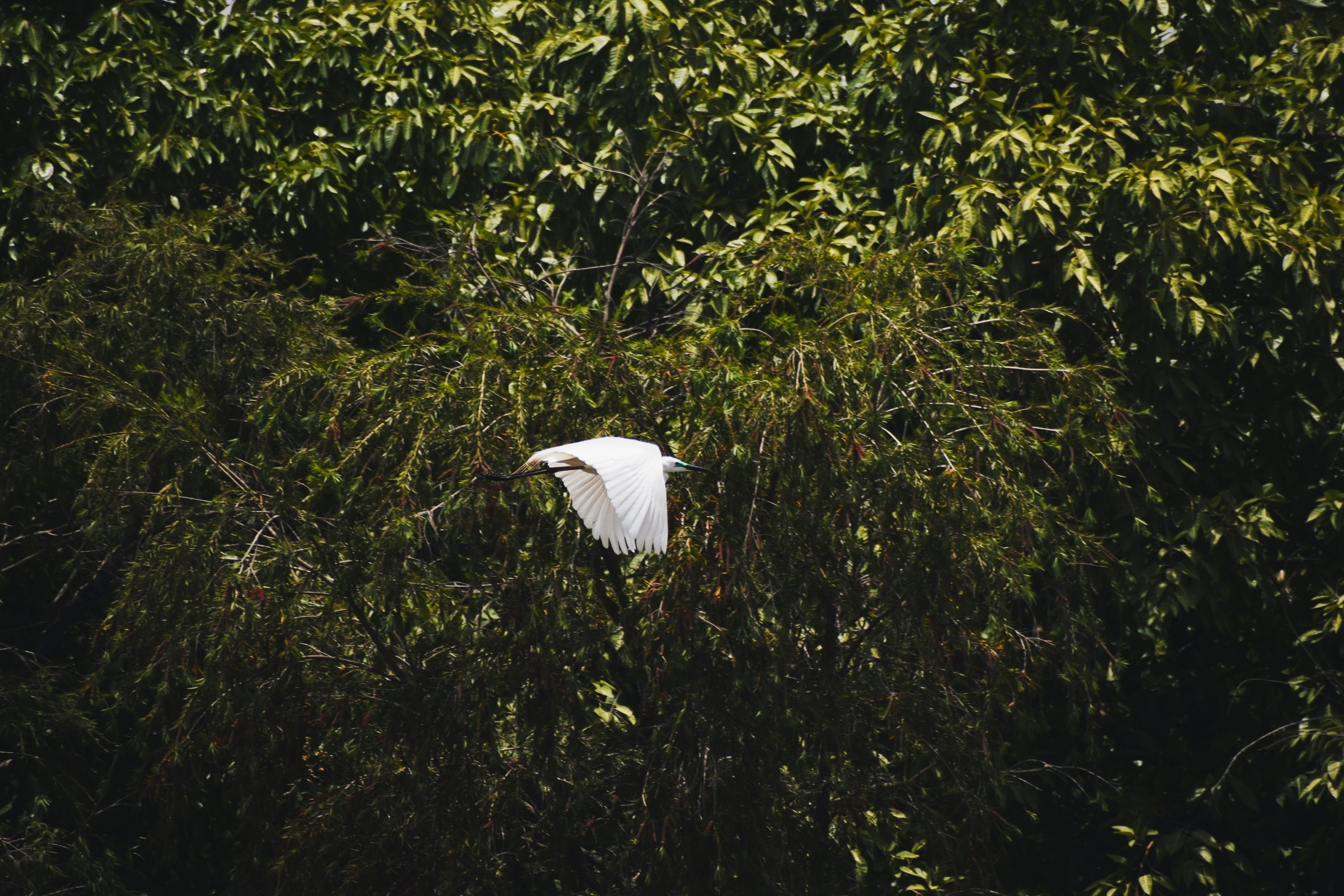 Photo by Garv Chaplot with Nikon D5600