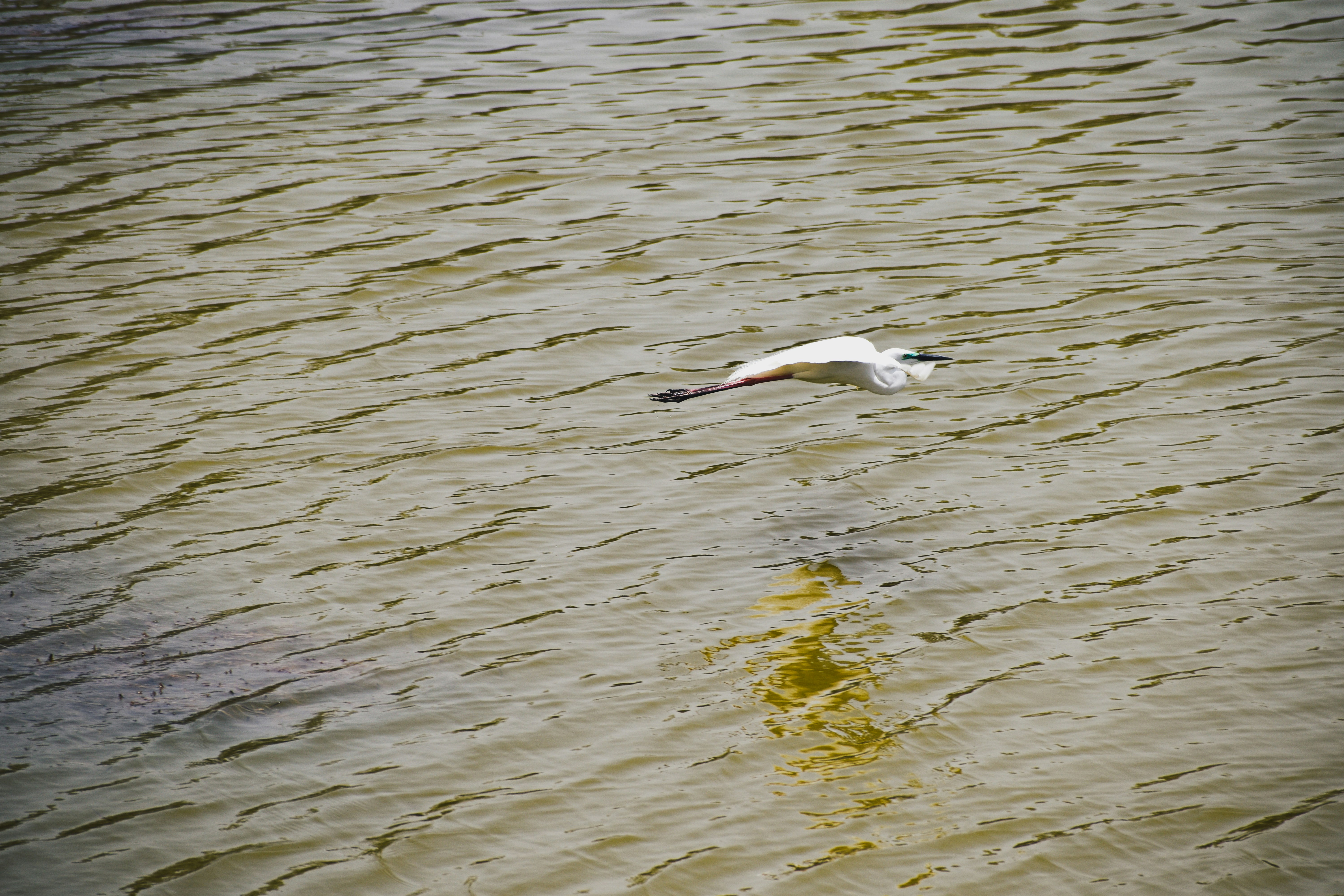 Garv Chaplot (@garv_4) | Komunitas Foto Unsplash