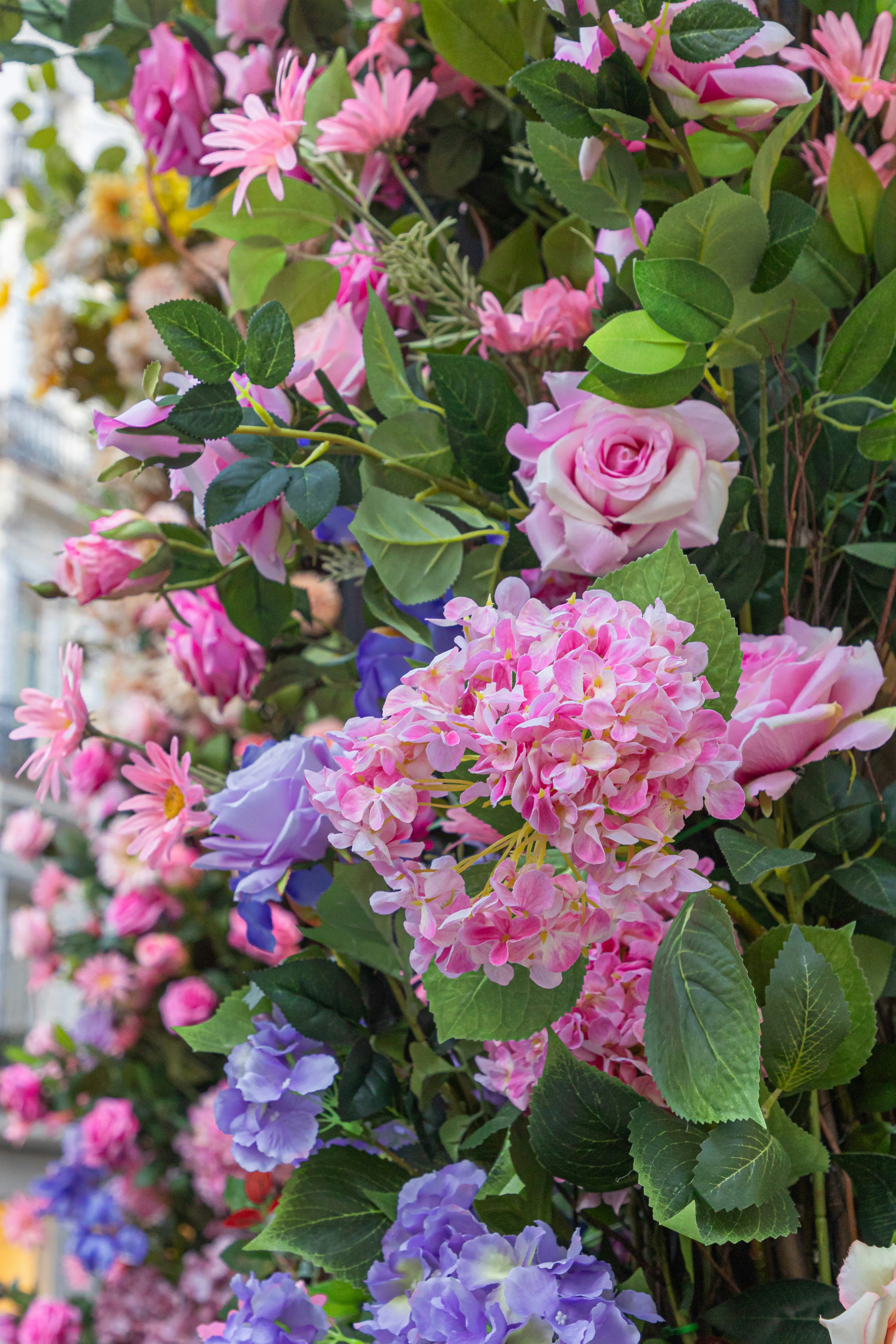 Pastel Petal Cascade on a Verdant Floral Wall