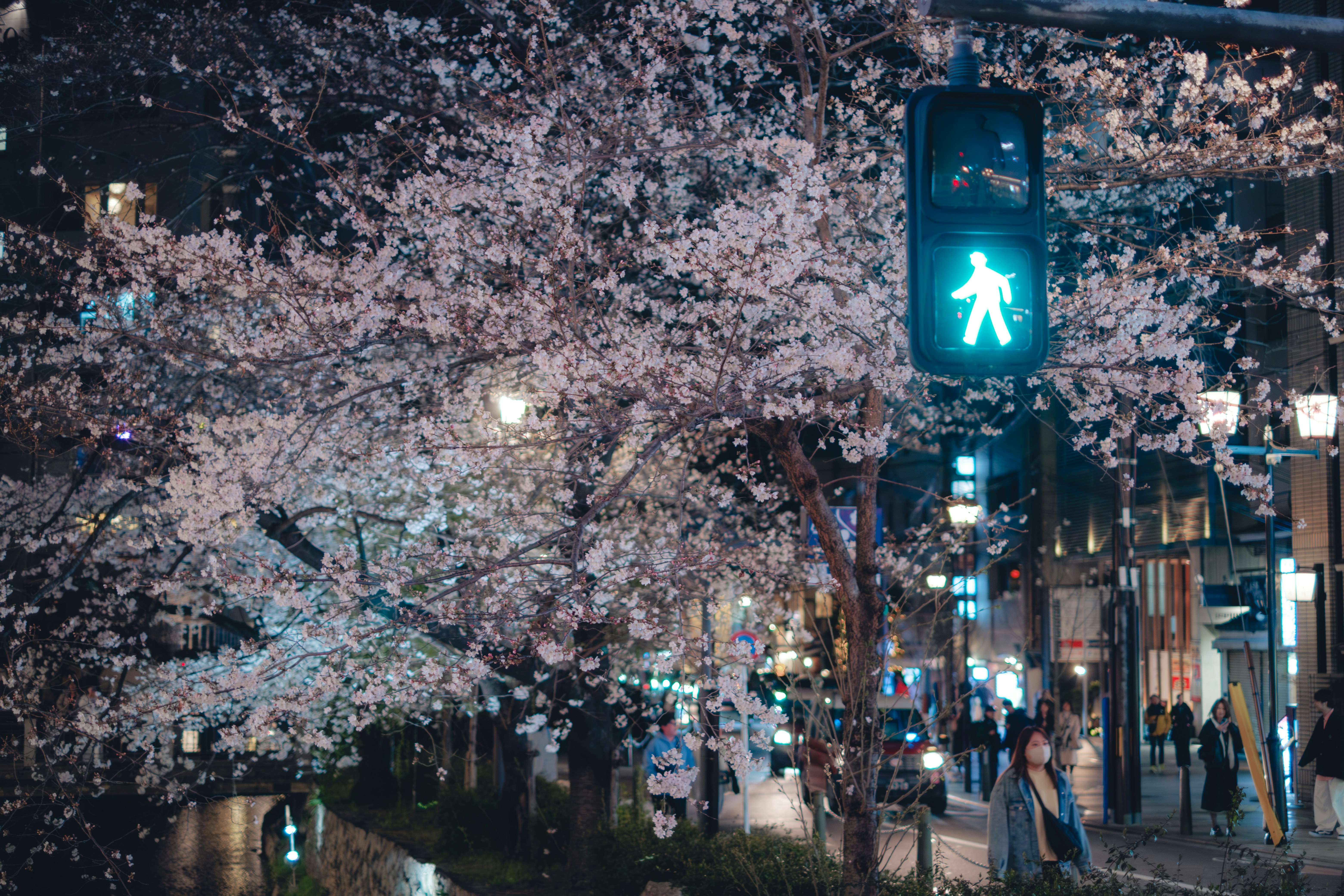 Cherry blossoms under a glowing streetlight in a bustling cityscape at night.