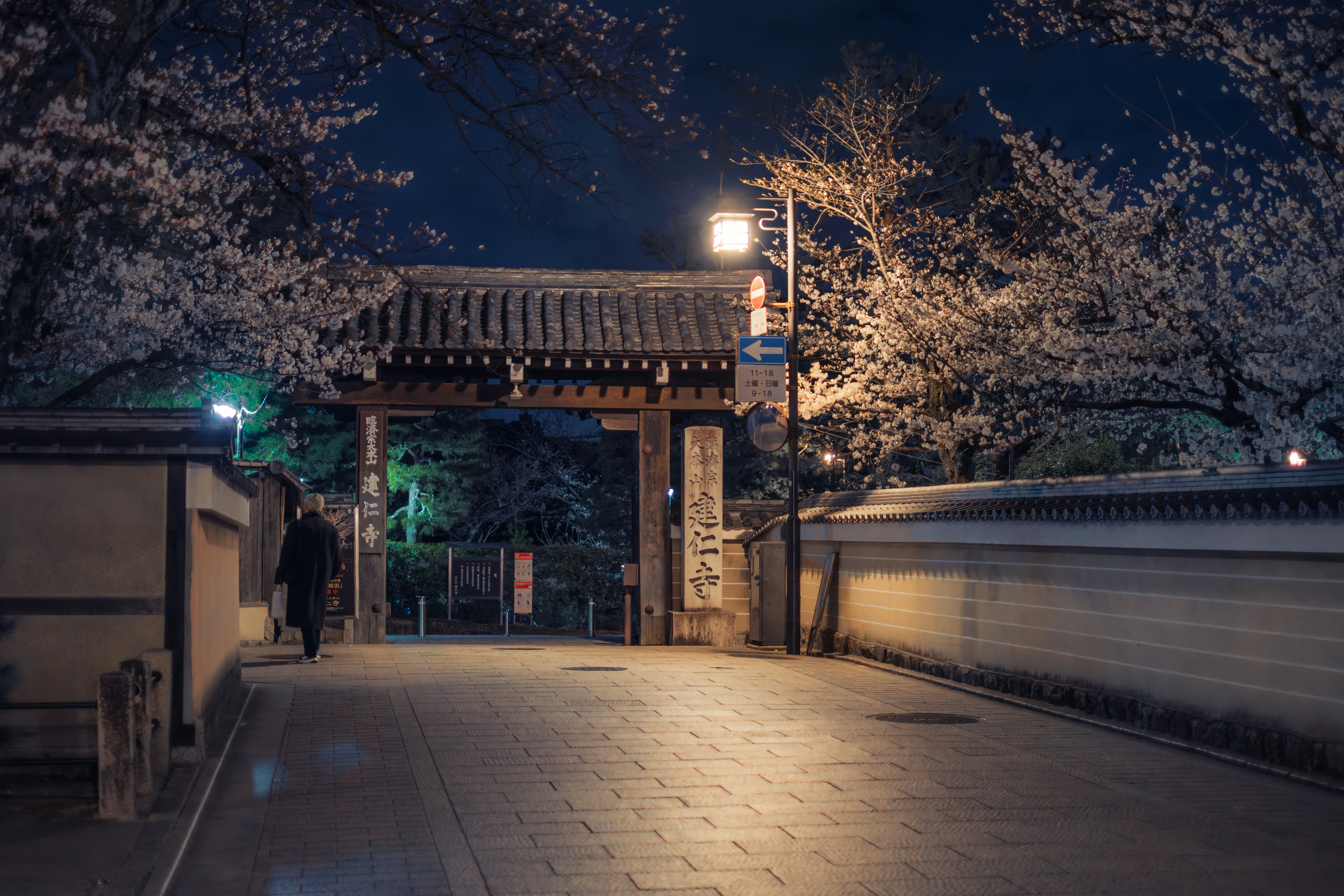 Traditional gate illuminated at night, surrounded by cherry blossoms in full bloom.