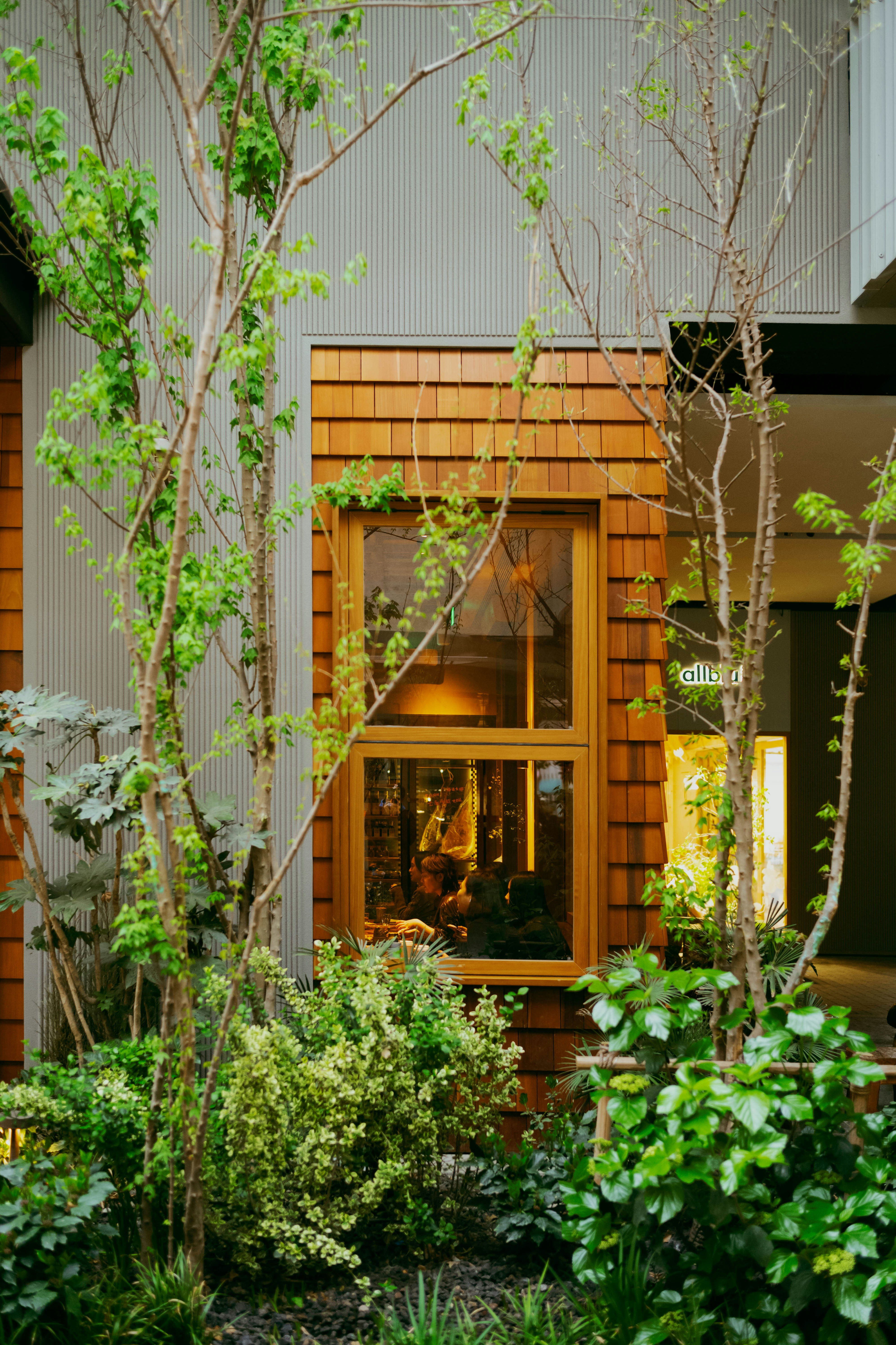 Lush greenery frames a wooden window facade, blending natural and architectural elements.
