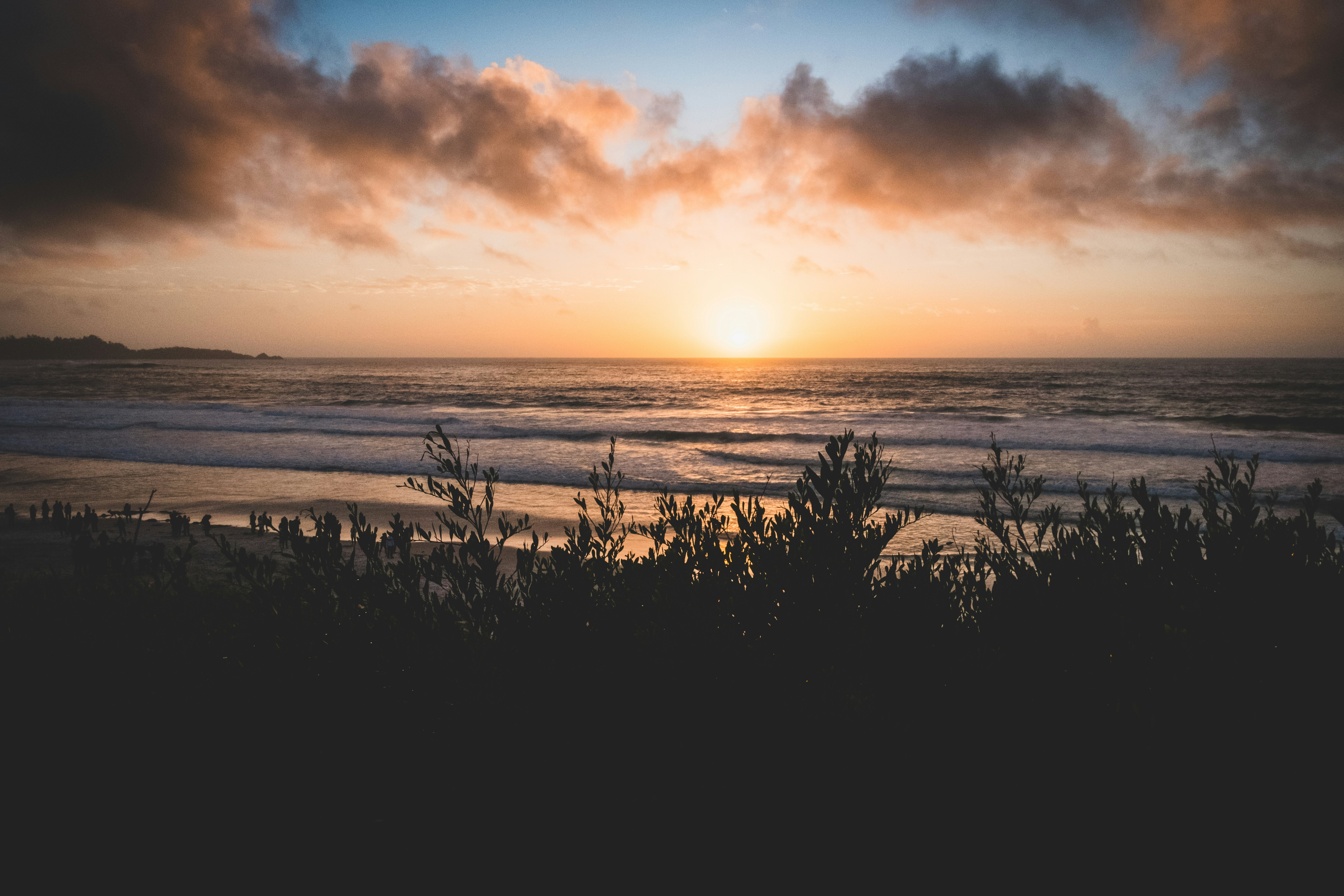 Photo by Ekaterina Iliushkina with Fujifilm X-T30 II