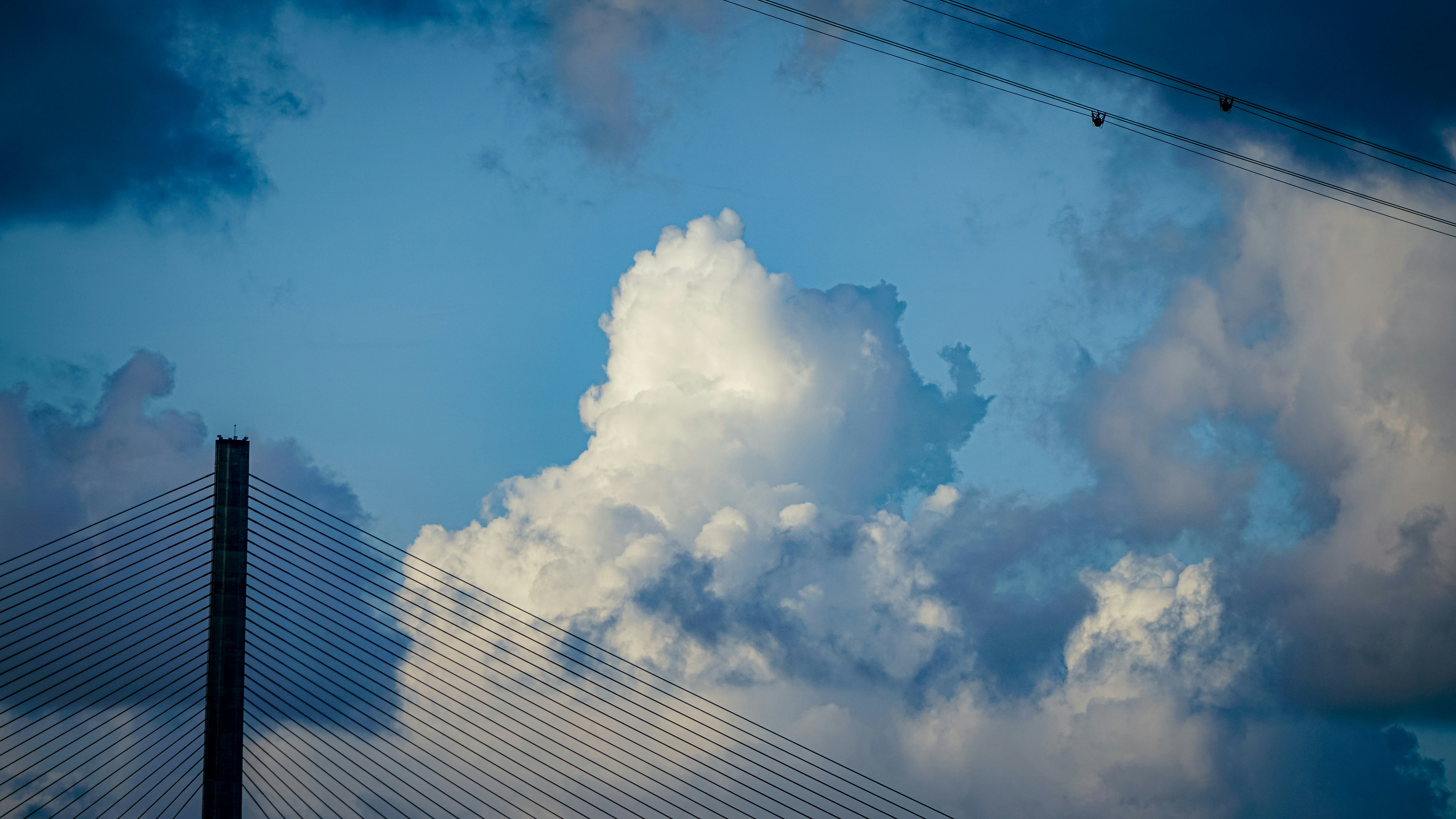 Photo by Yen Vu with Sony Alpha 6300