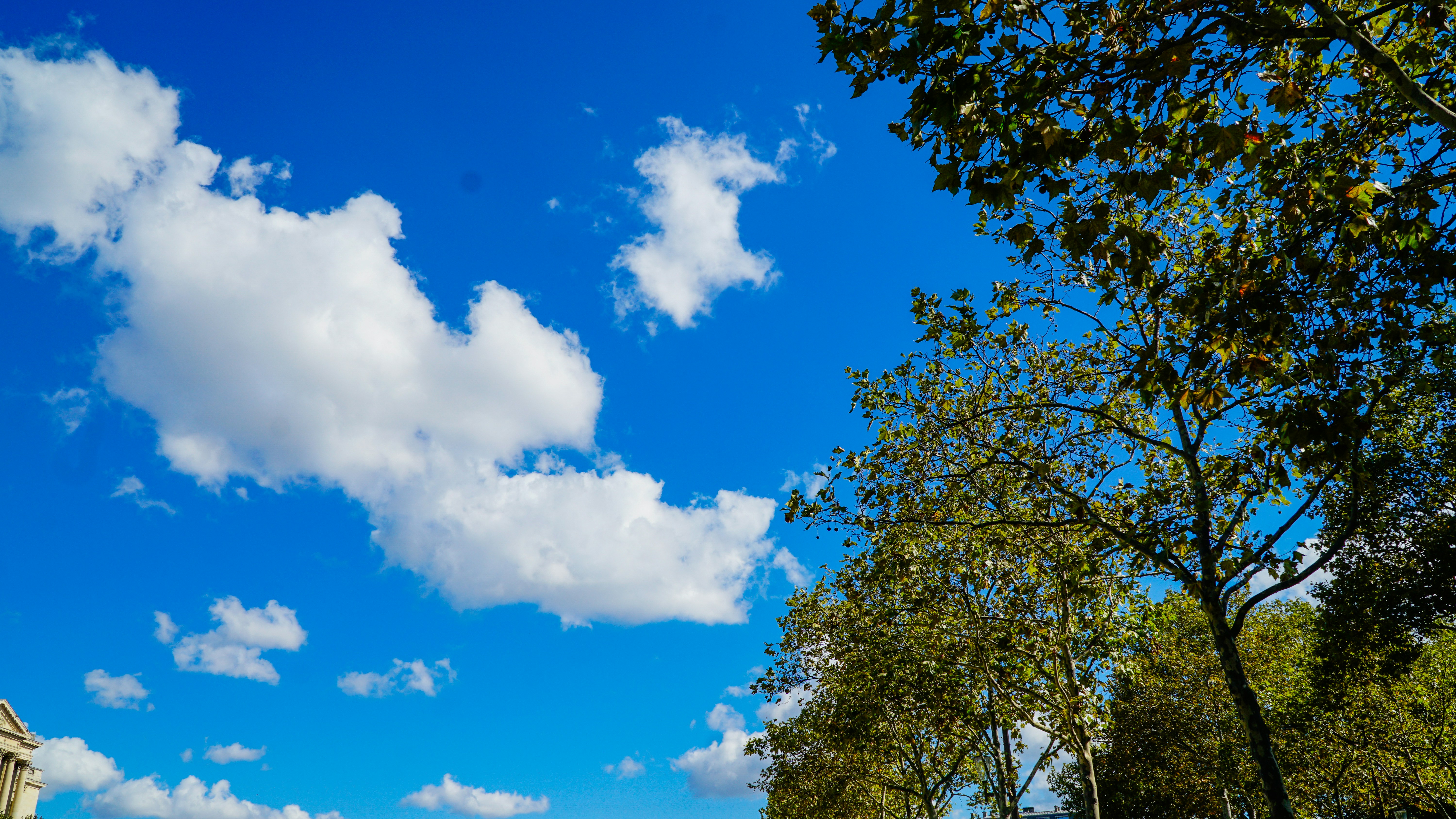 Blue sky with clouds and trees. photo – Free Paris Image on Unsplash