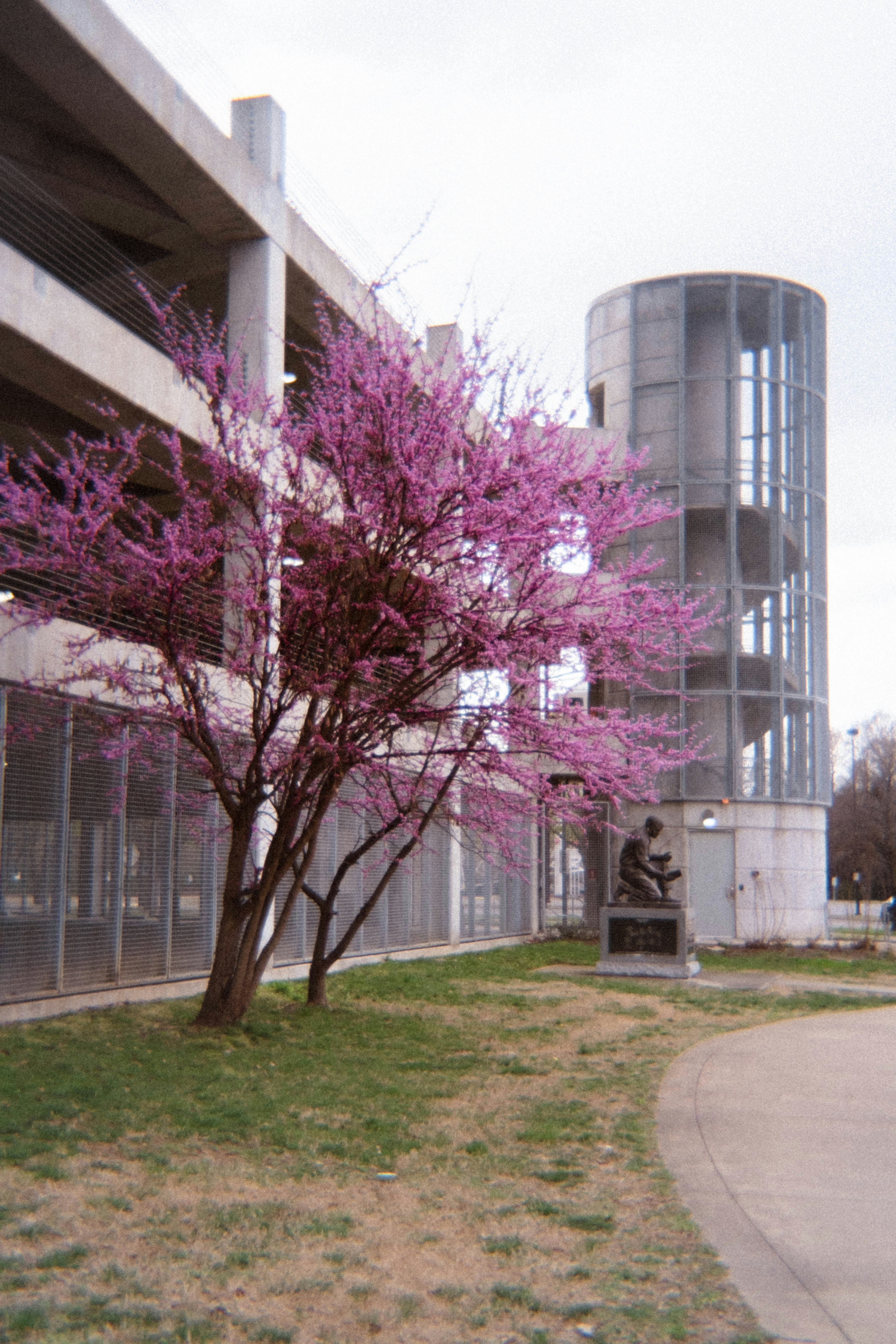 Photo by Ashe Walker with Fujifilm X-T4