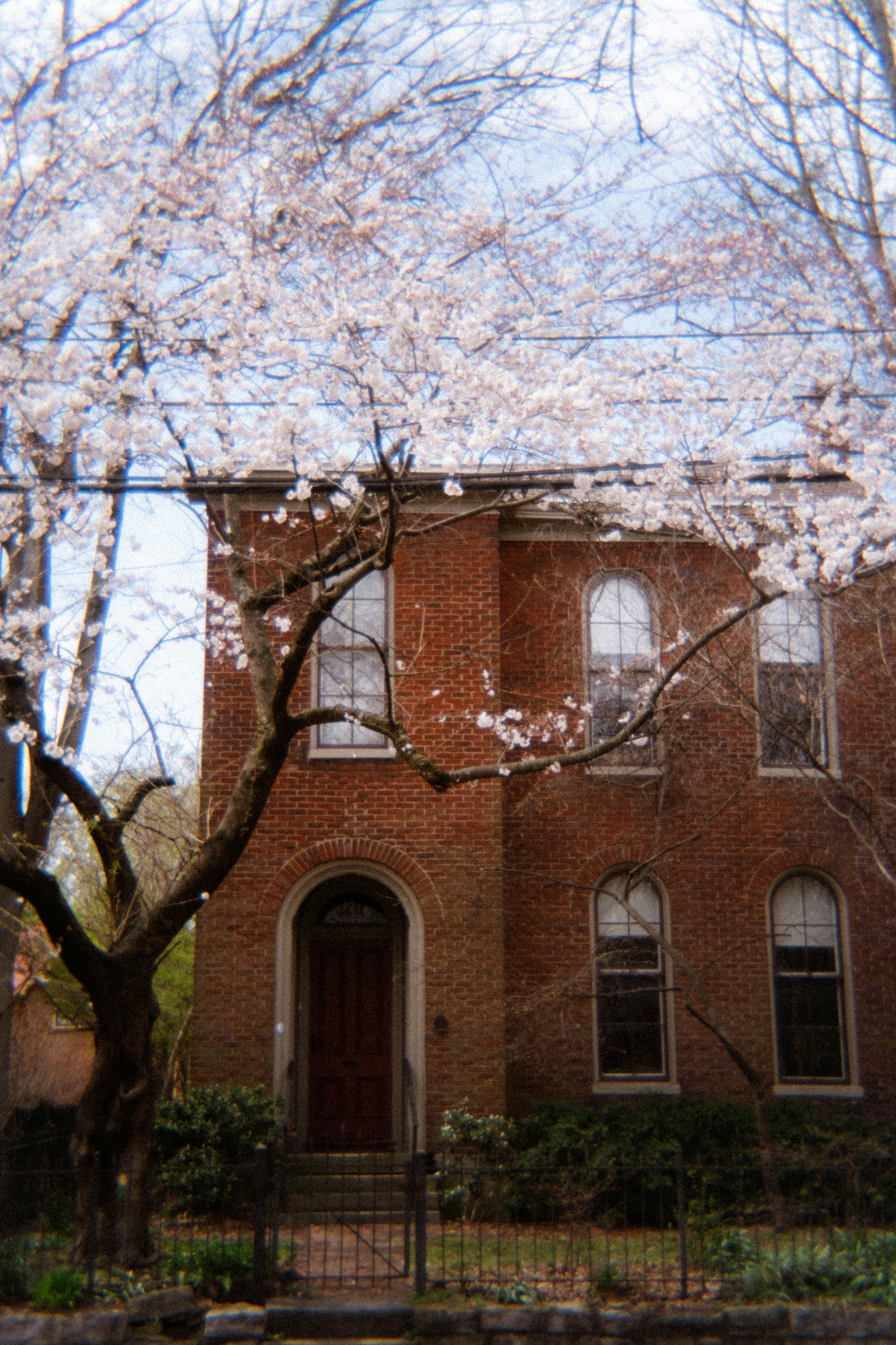 Photo by Ashe Walker with Fujifilm X-T4