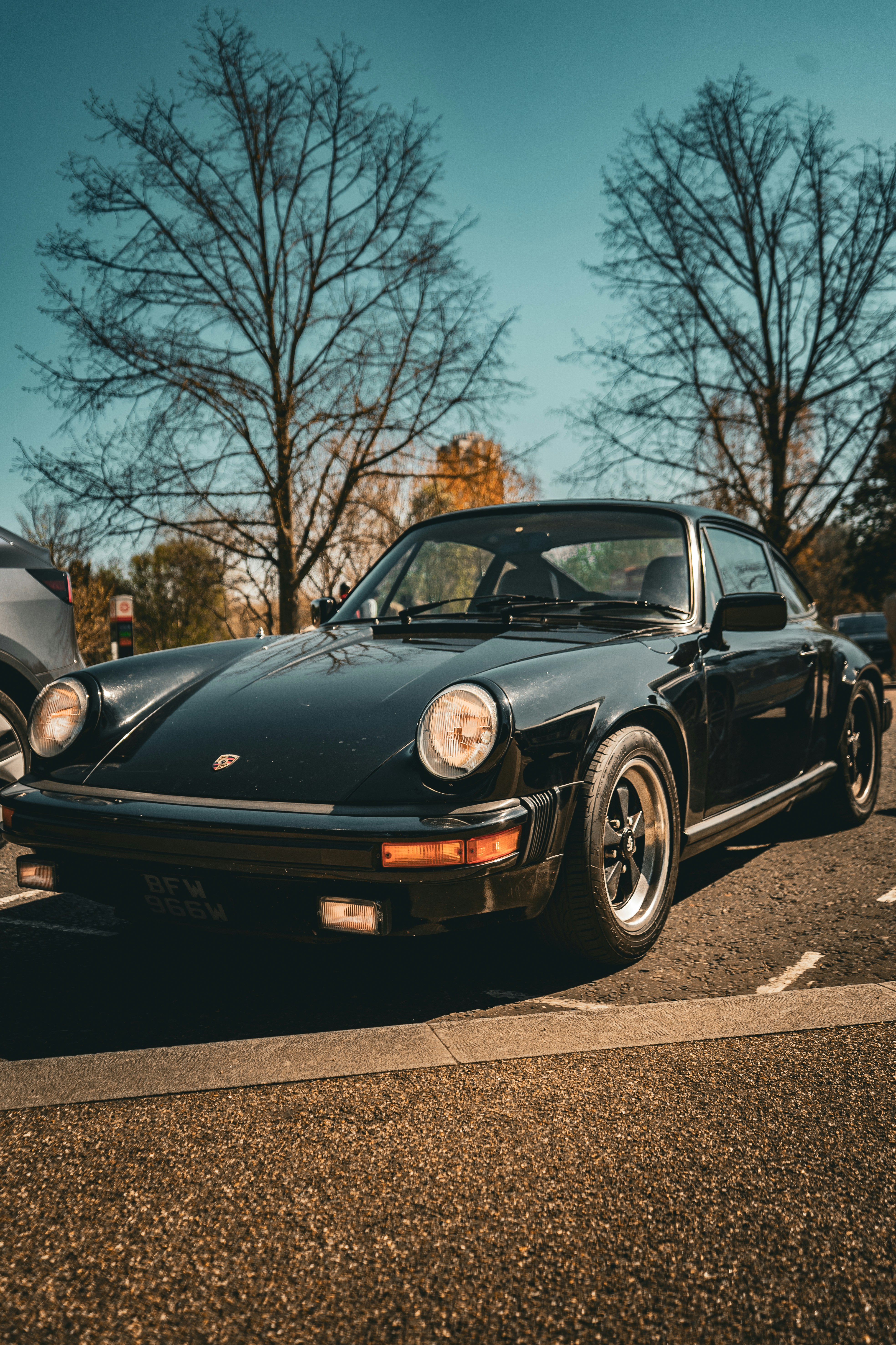 Autumn Drive: Classic Elegance on Display