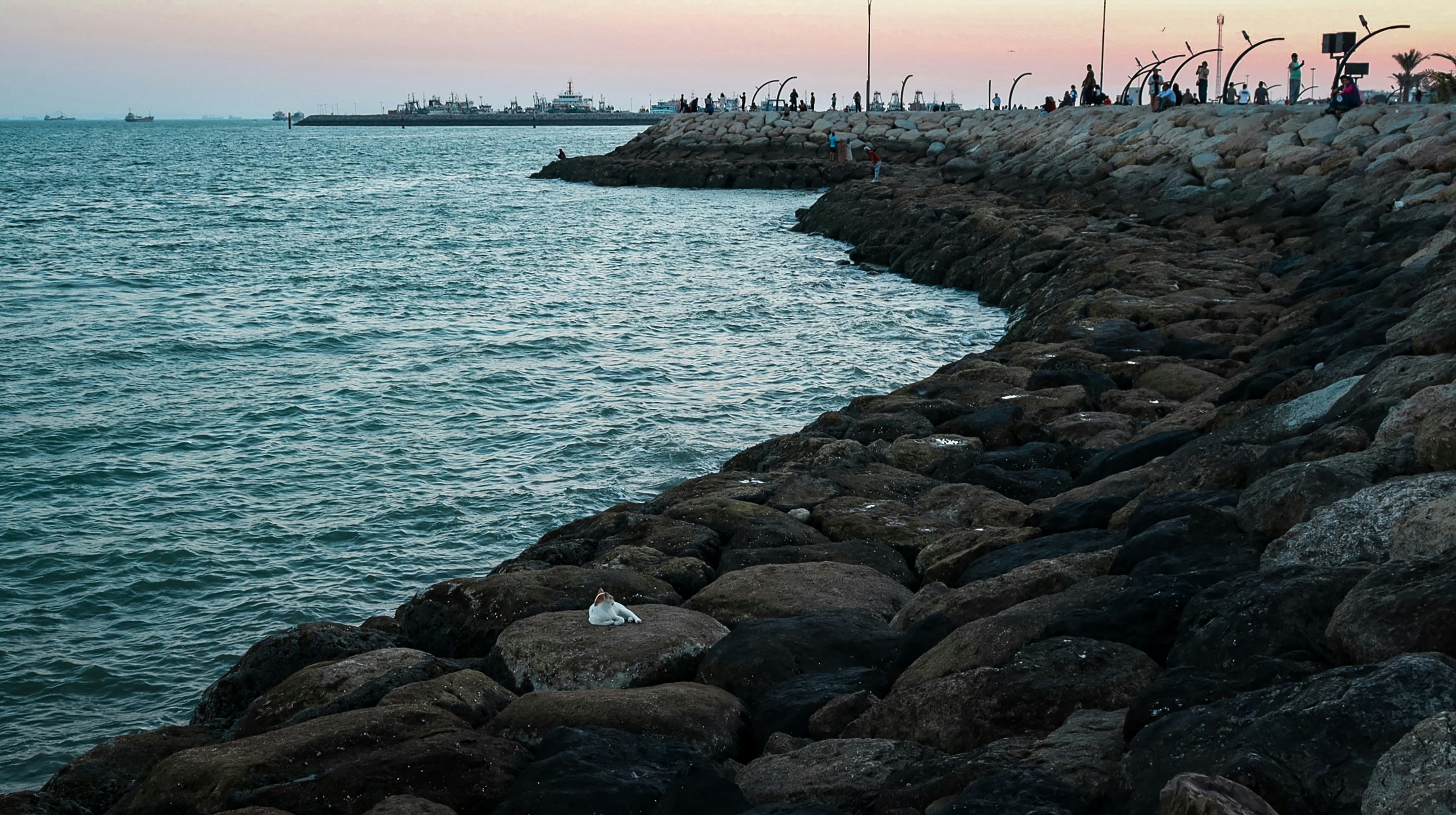 Twilight Serenity Along the Rocky Shoreline