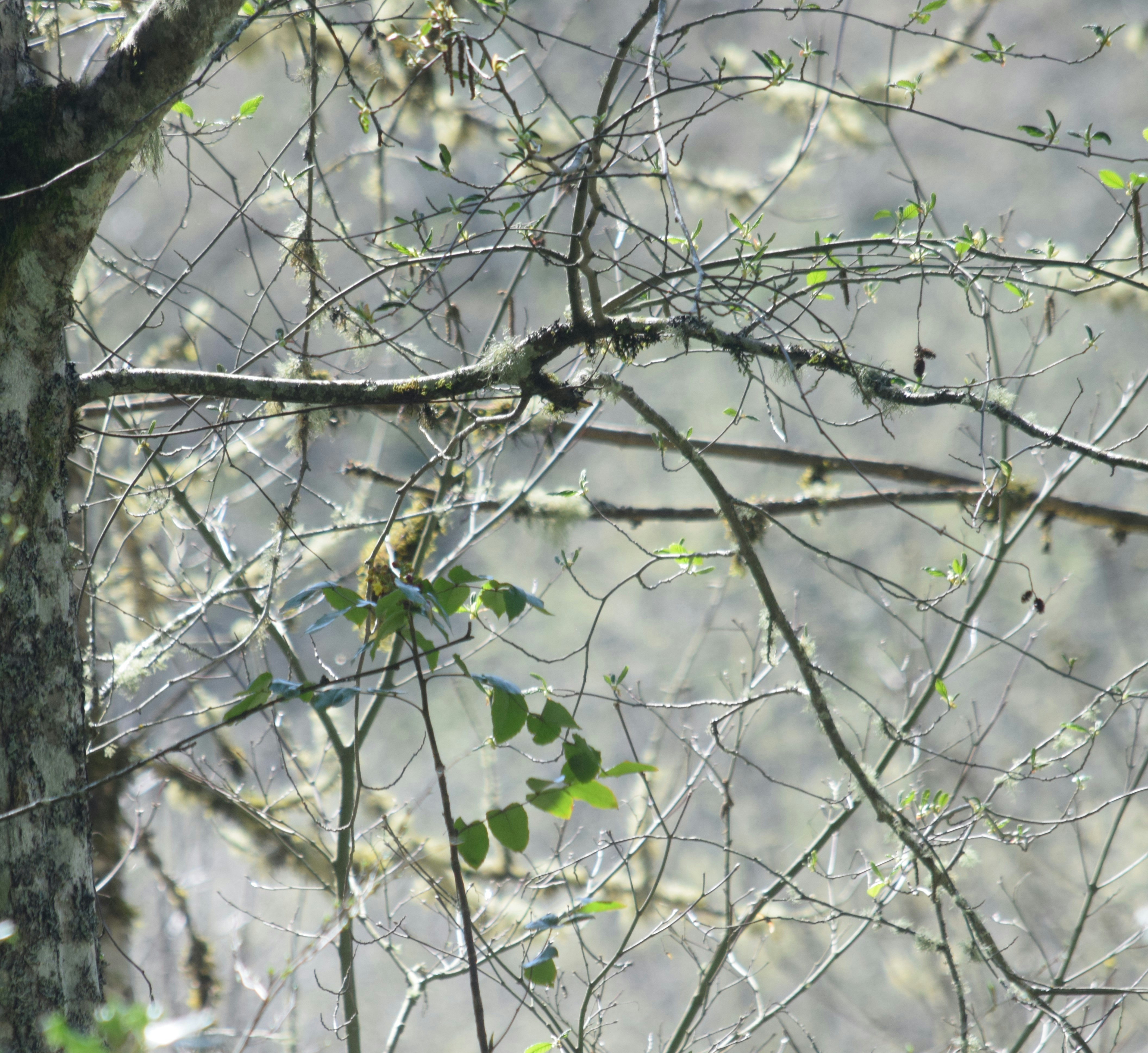 Photo by fr0ggy5 with Nikon D3300