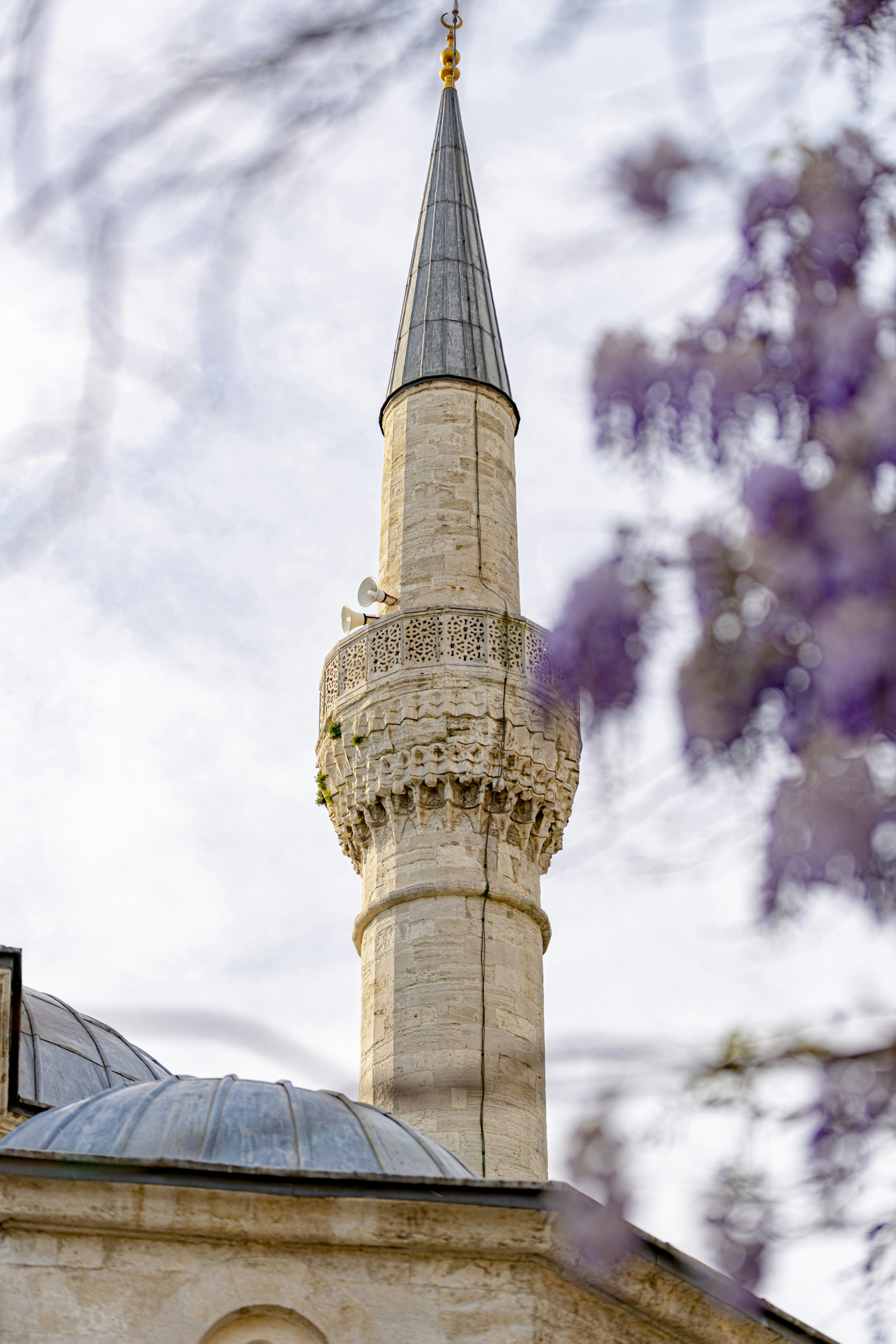 Ivory Minaret Rising Through a Veil of Spring Lavender