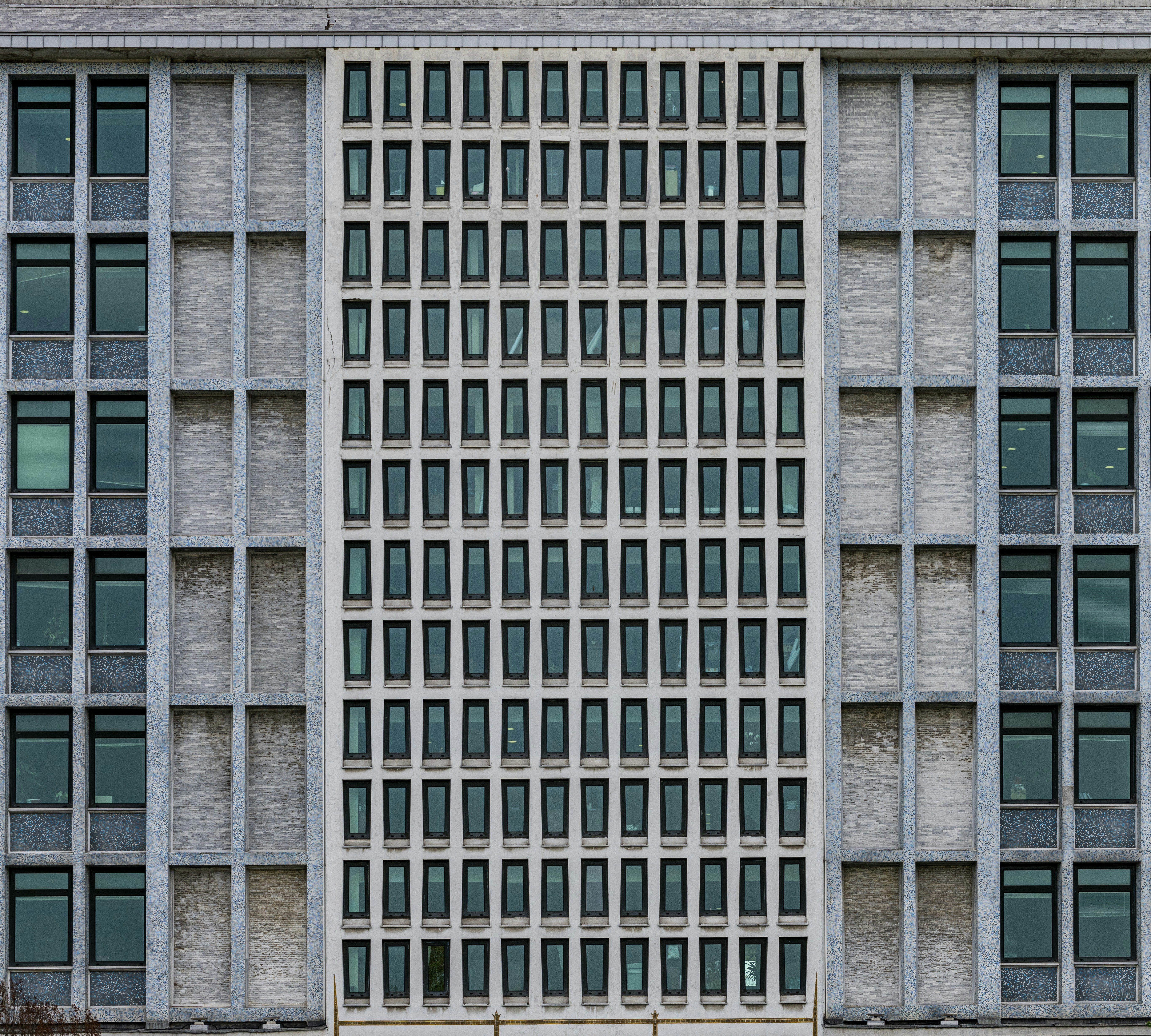 Concrete Grid: The Quiet Rhythm of a City Facade
