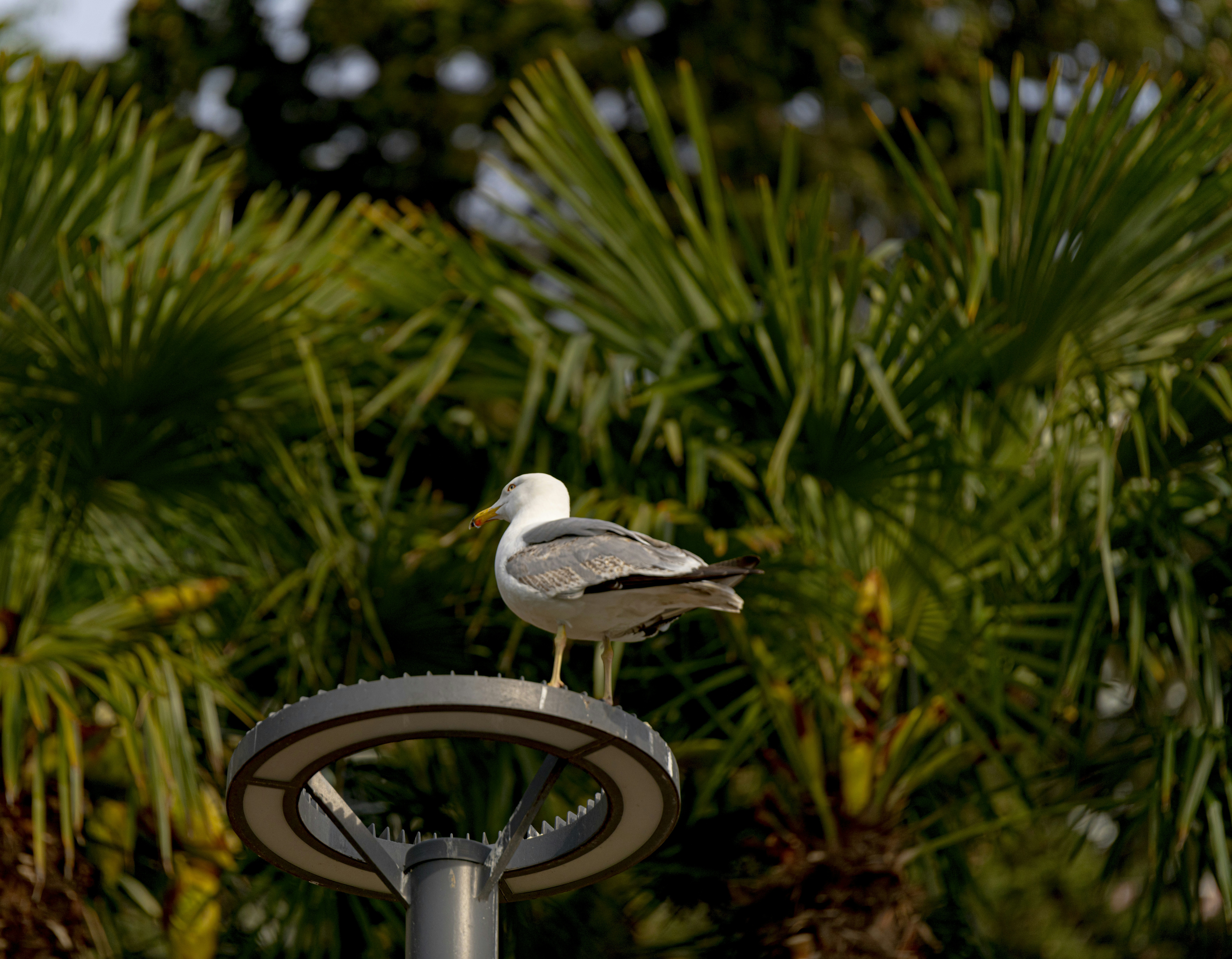 Photo by Shahabudin Ibragimov with Nikon D850