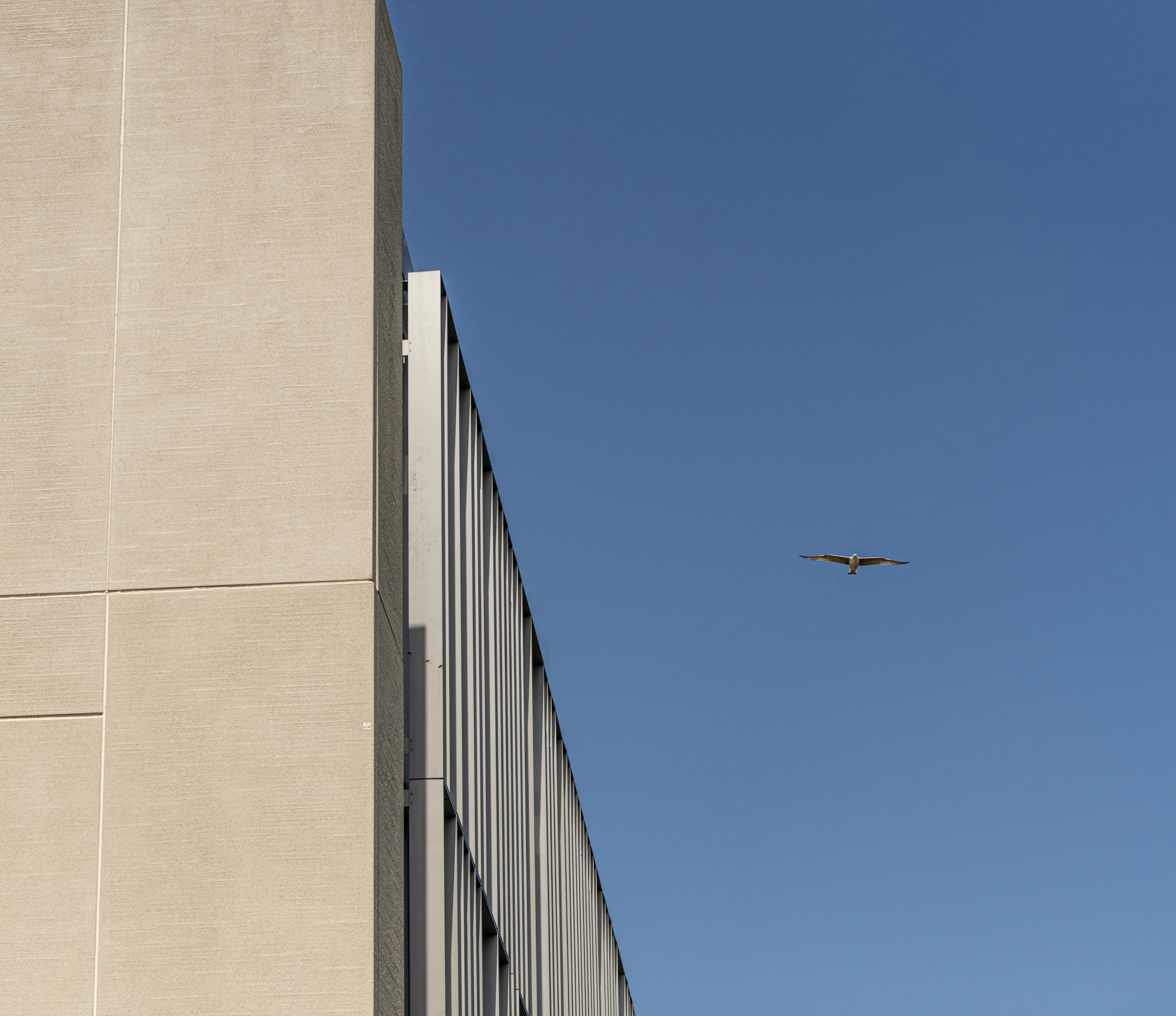 Distant Jet Above a Monolithic Facade: A Study in Scale and Space