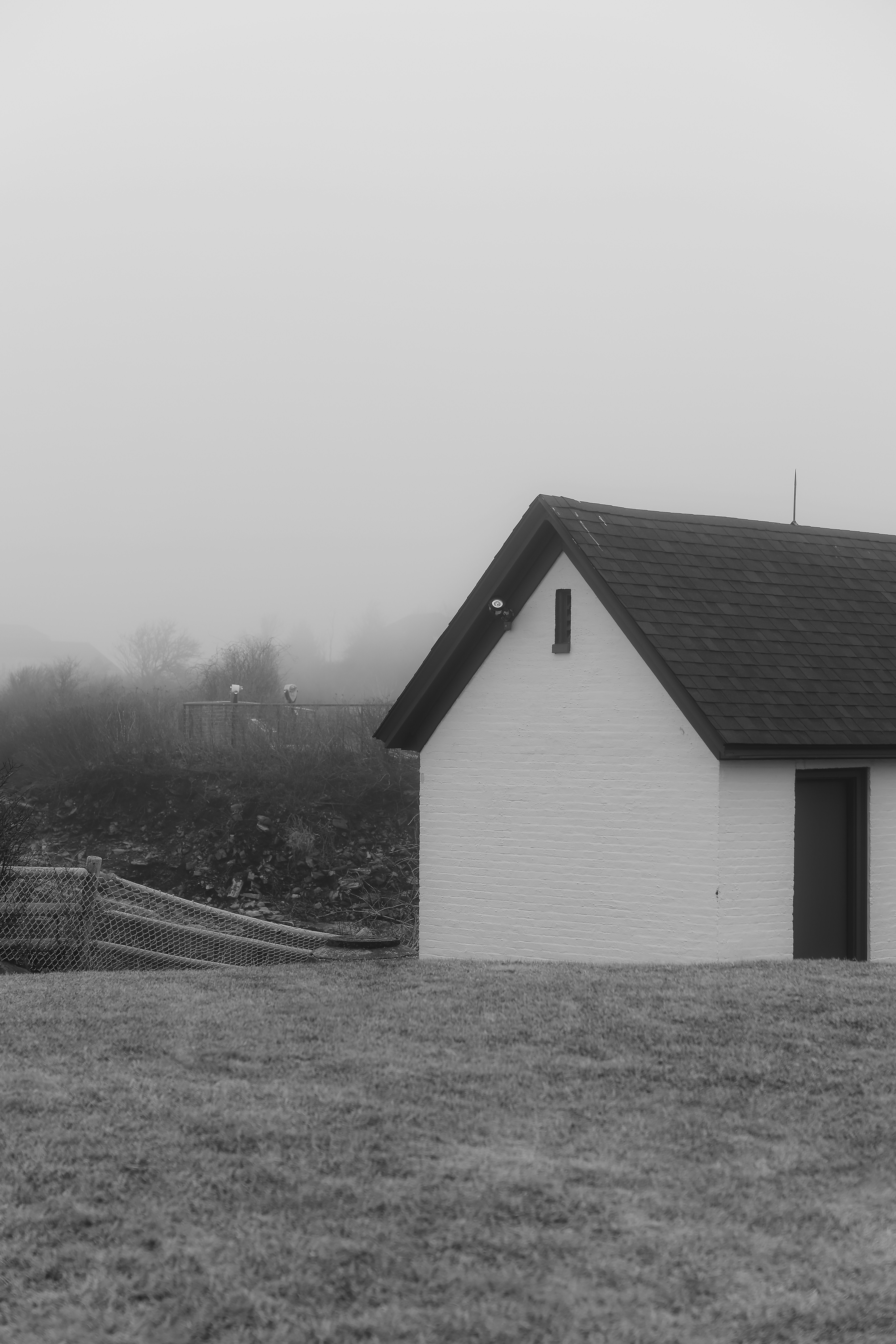 Misty Morning Solitude