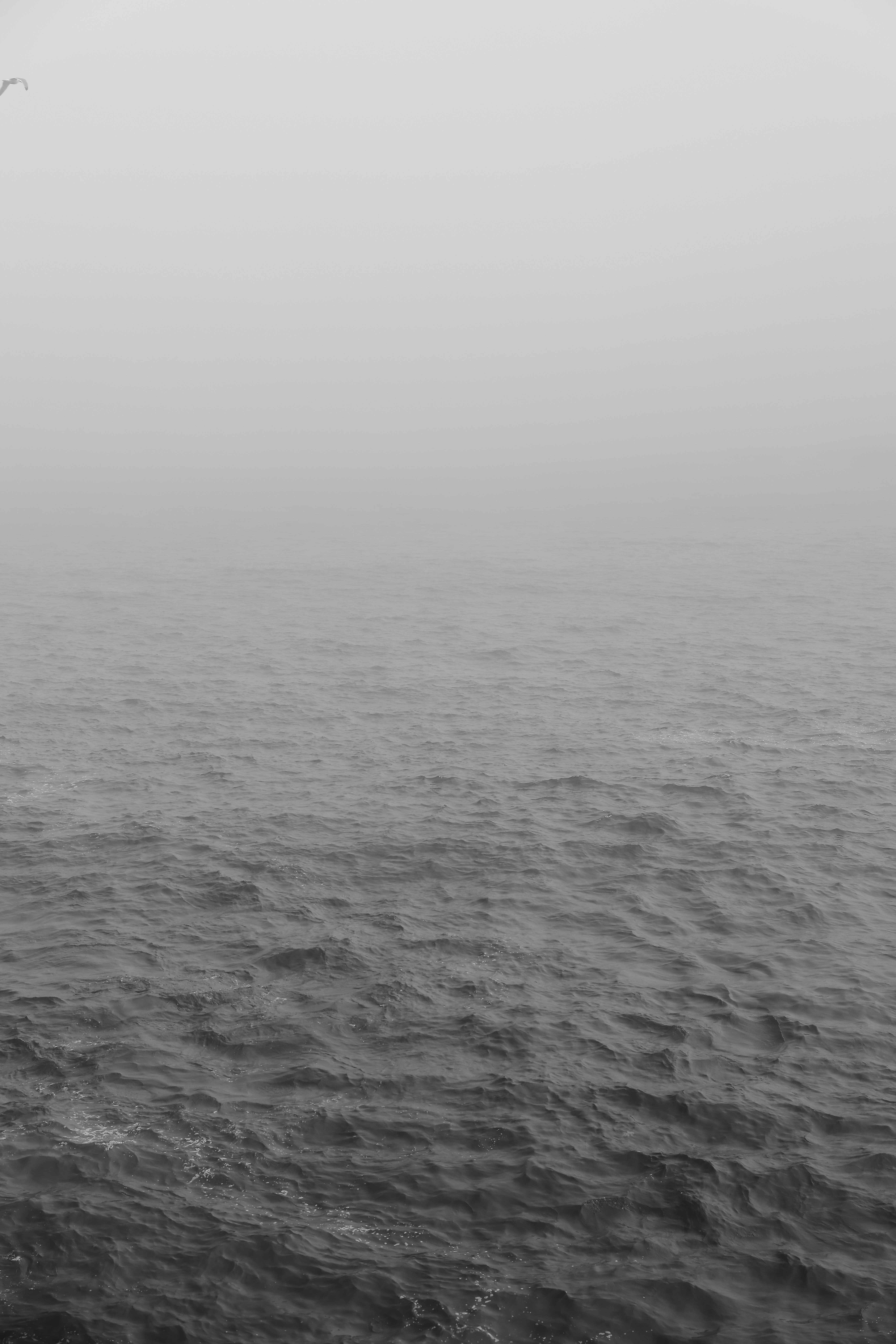 Foggy ocean stretches into the misty horizon. photo – Free Sea Image on ...