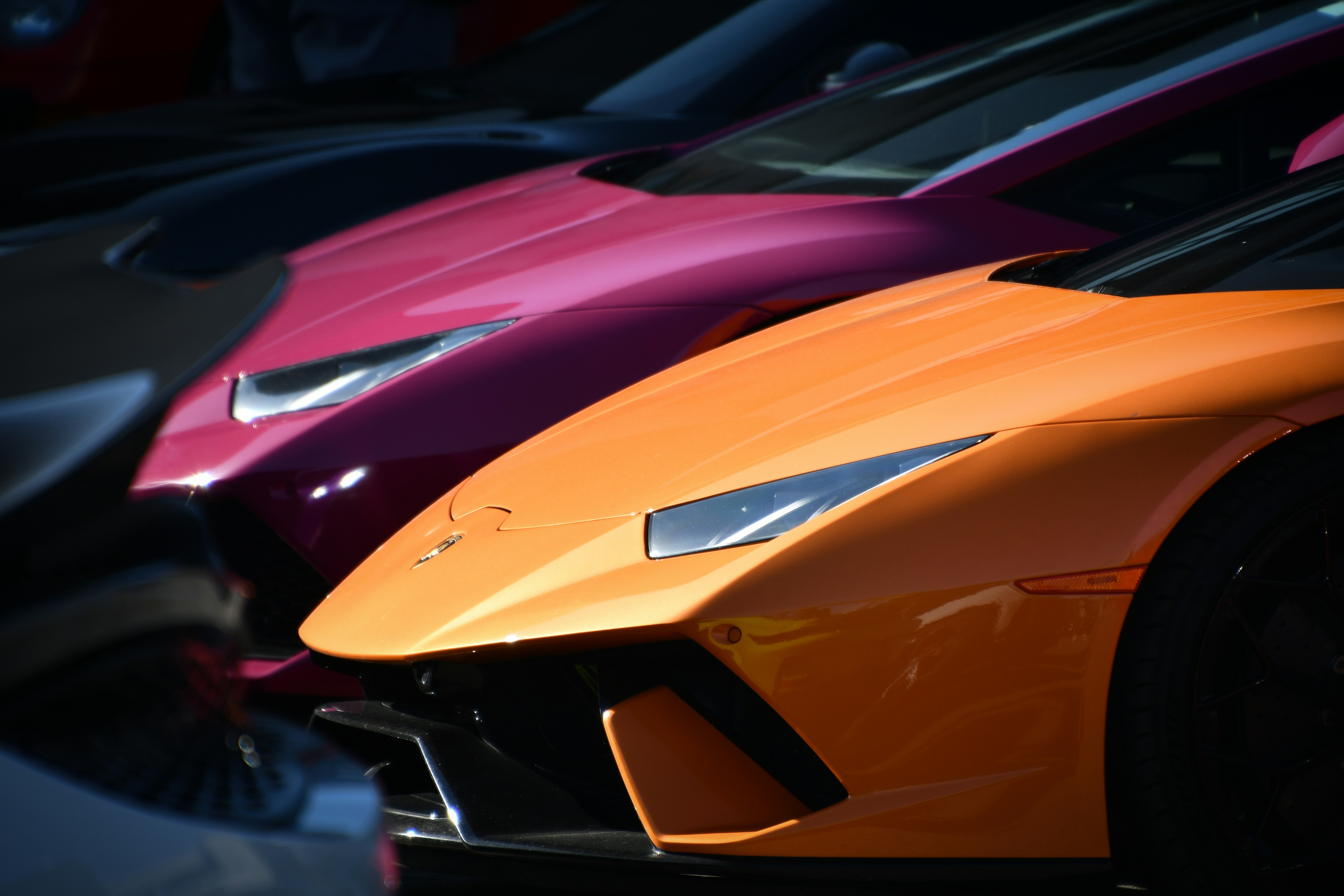Colorful sports cars are parked in a row. photo – Free Car Image on ...
