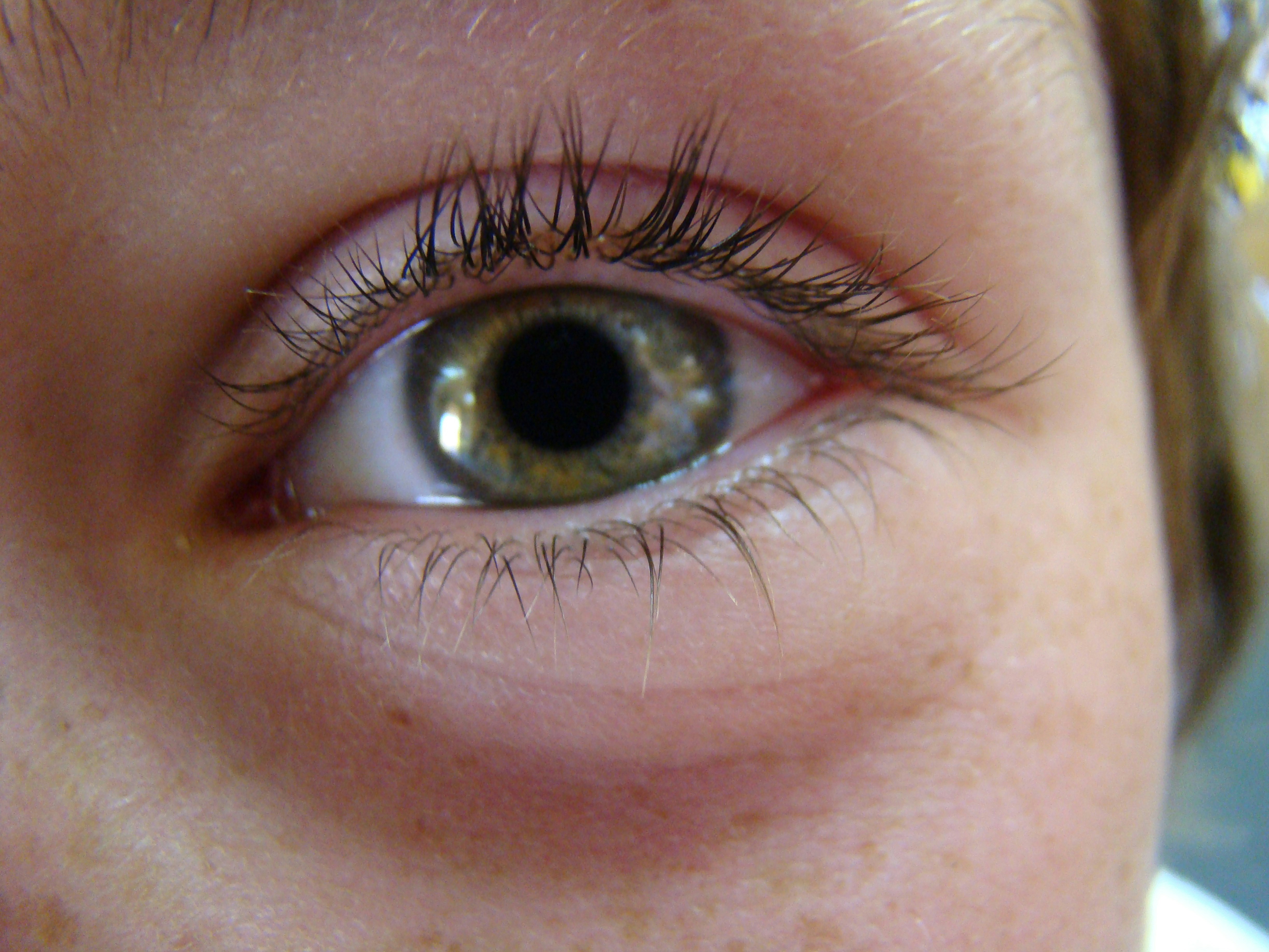 A close-up shot of a human eye. photo – Free Green Image on Unsplash