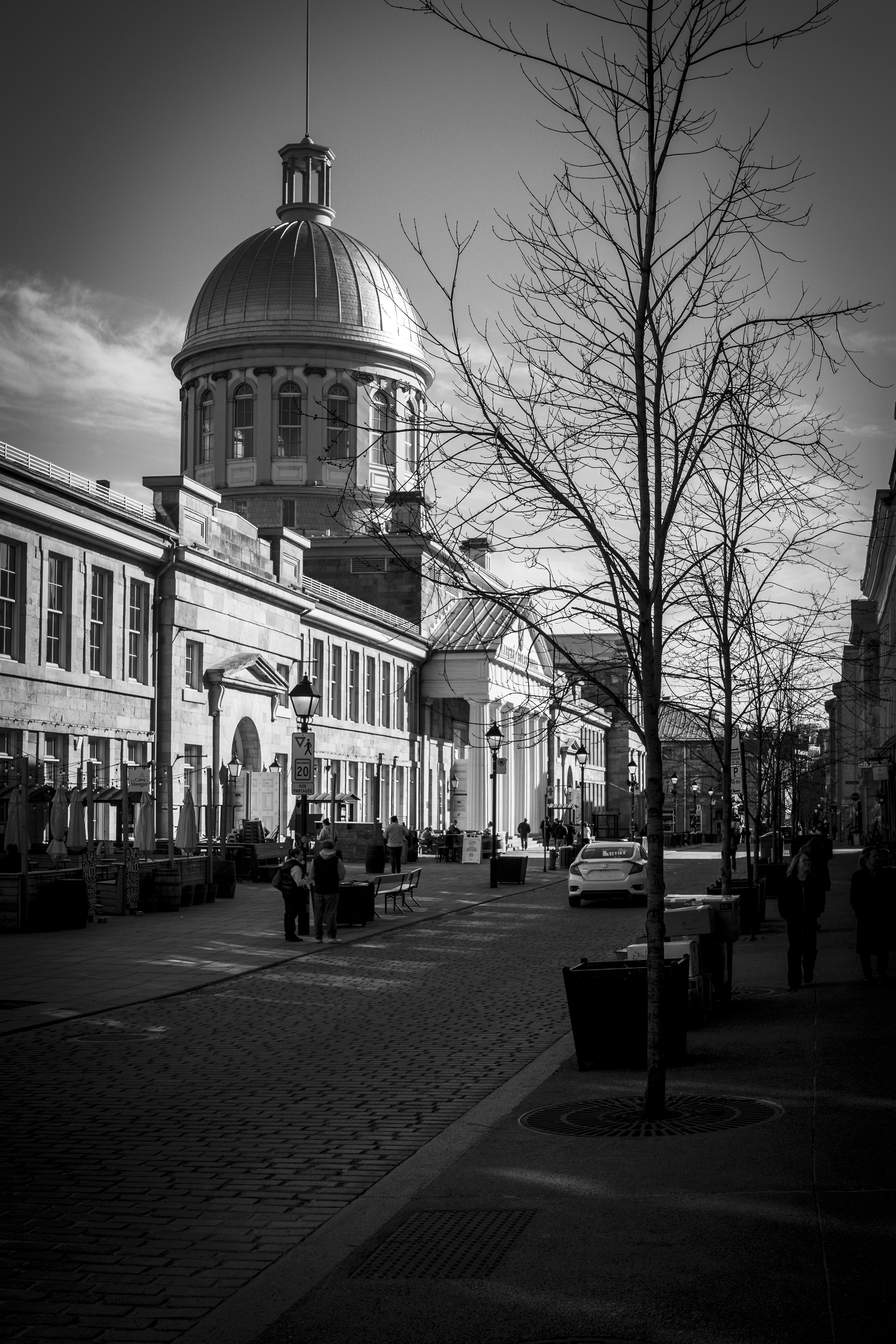 Black and white view of a historic building with a domed roof on a cobblestone street lined with bare trees.
