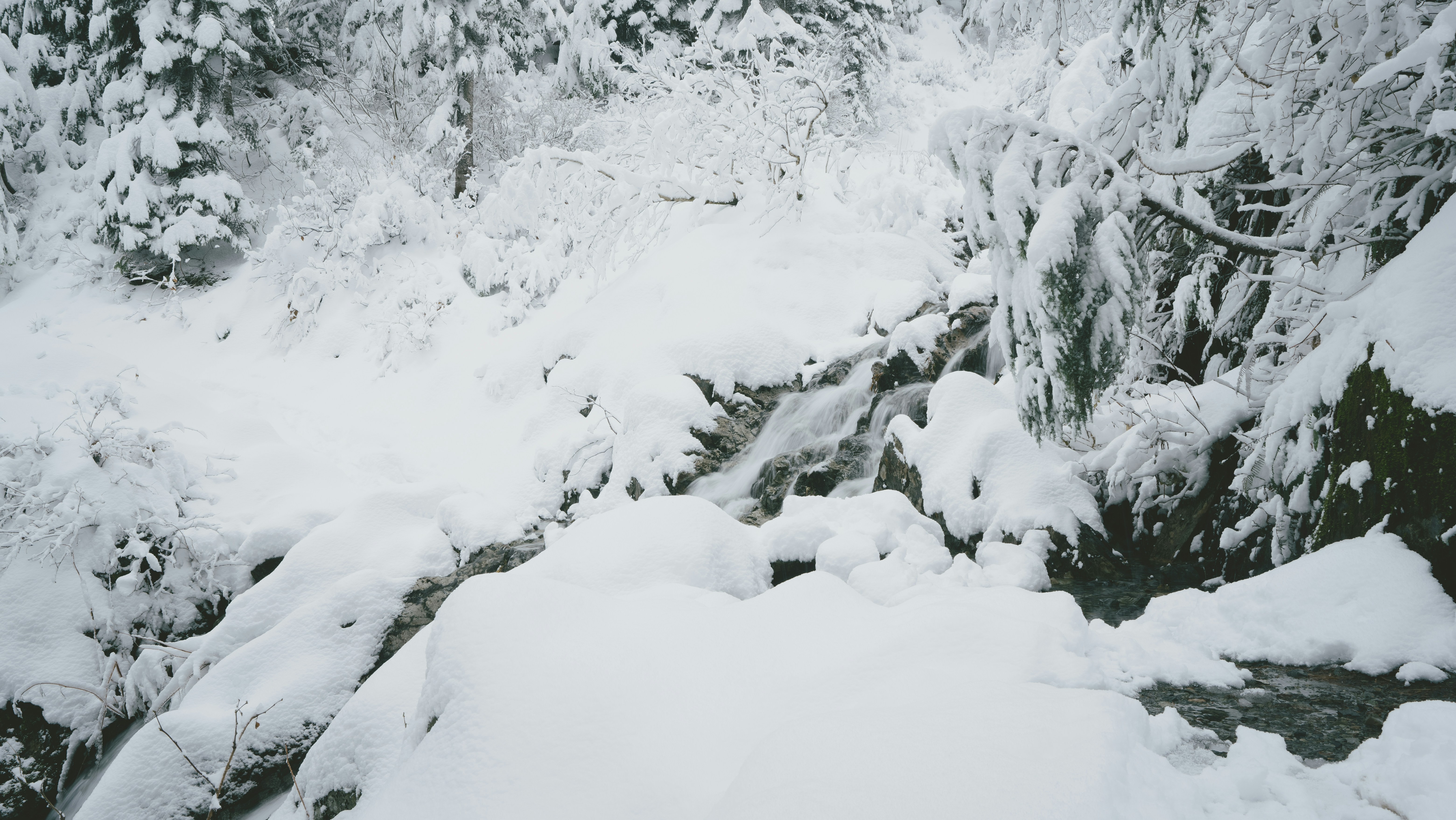 NIR HIMI (@nirhimi) | Unsplash Photo Community