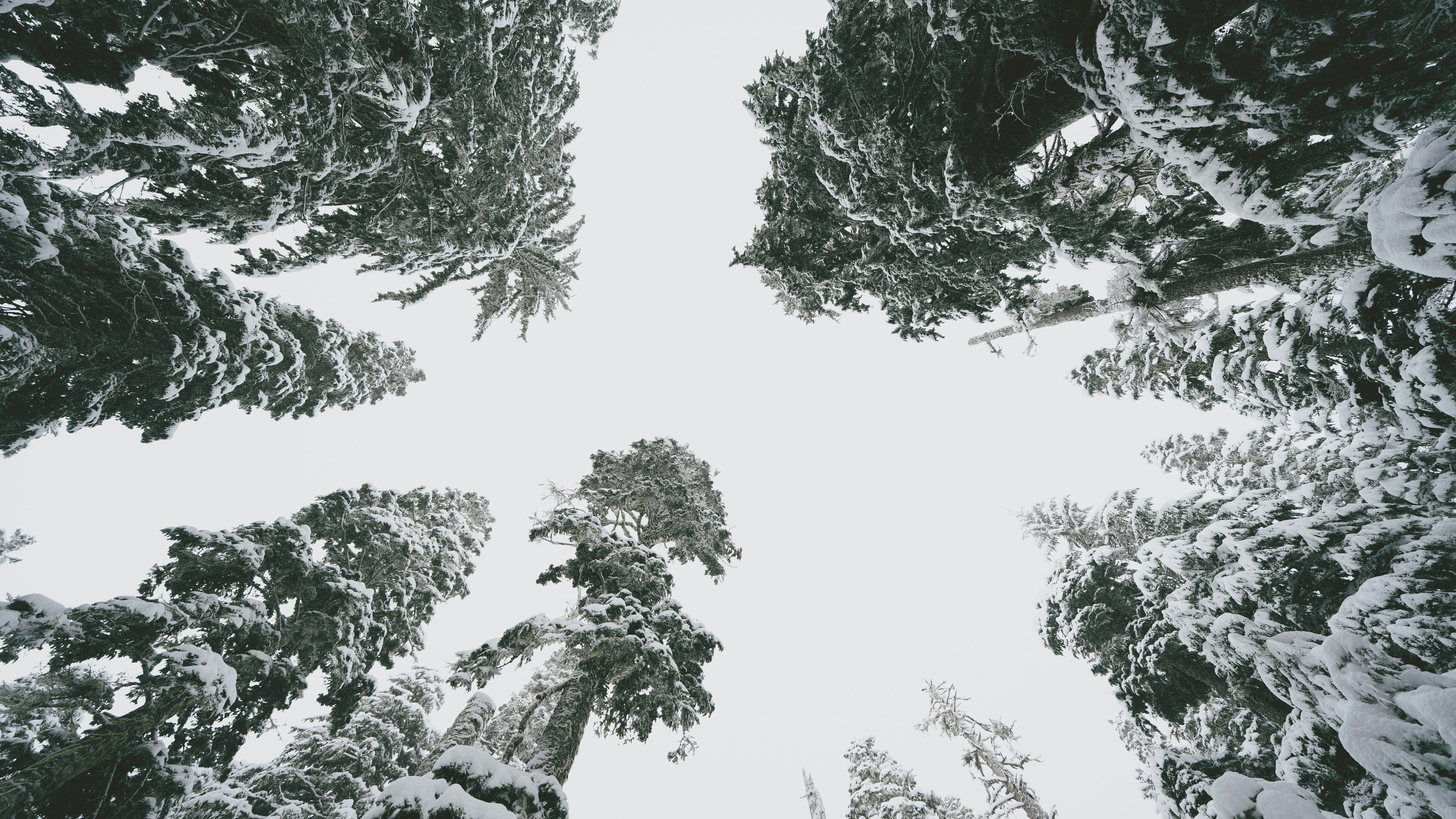 NIR HIMI (@nirhimi) | Unsplash Photo Community