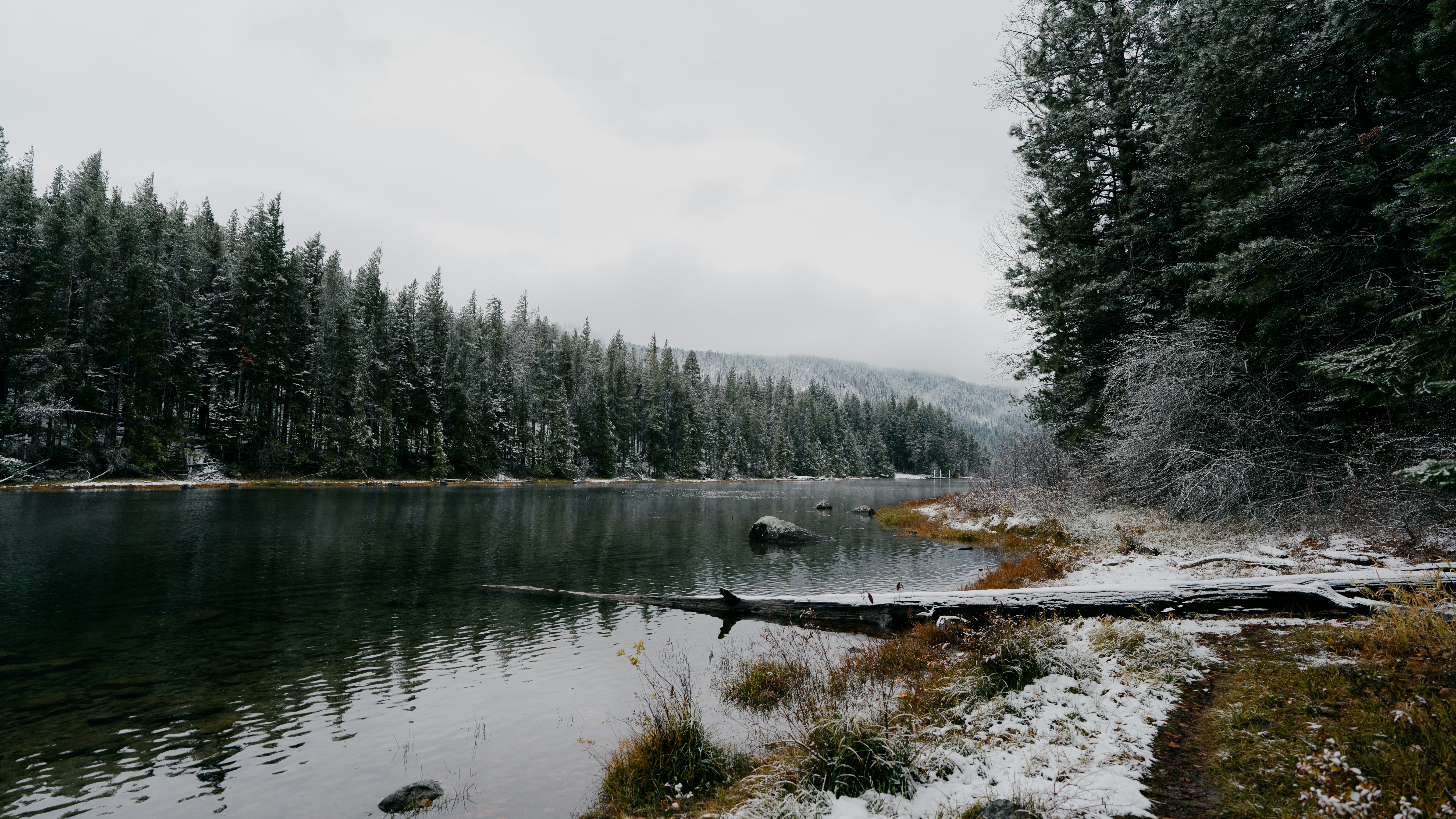 Snowy forest surrounds a peaceful lake. photo – Free Wallpaper Image on ...