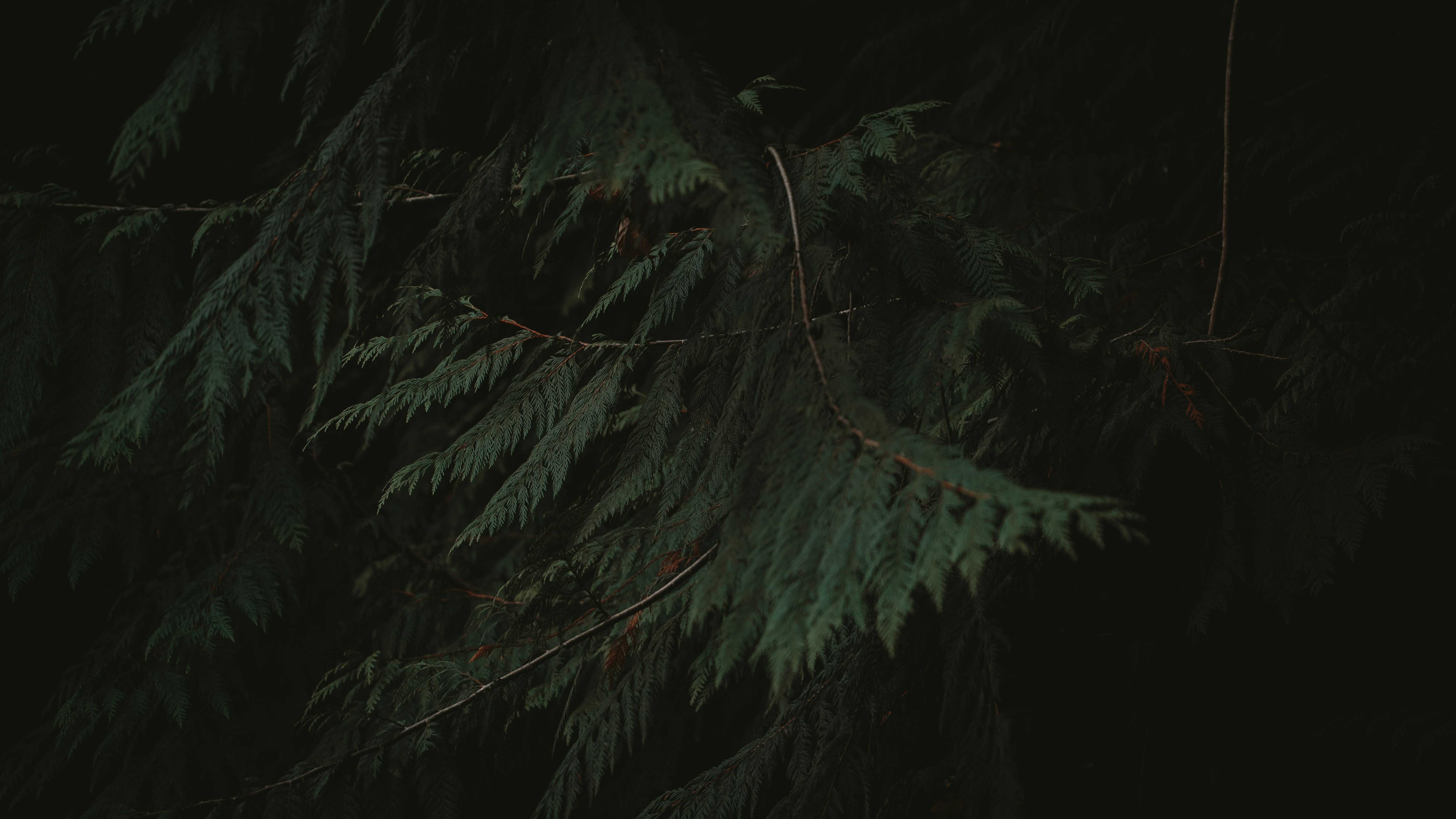 NIR HIMI (@nirhimi) | Unsplash Photo Community