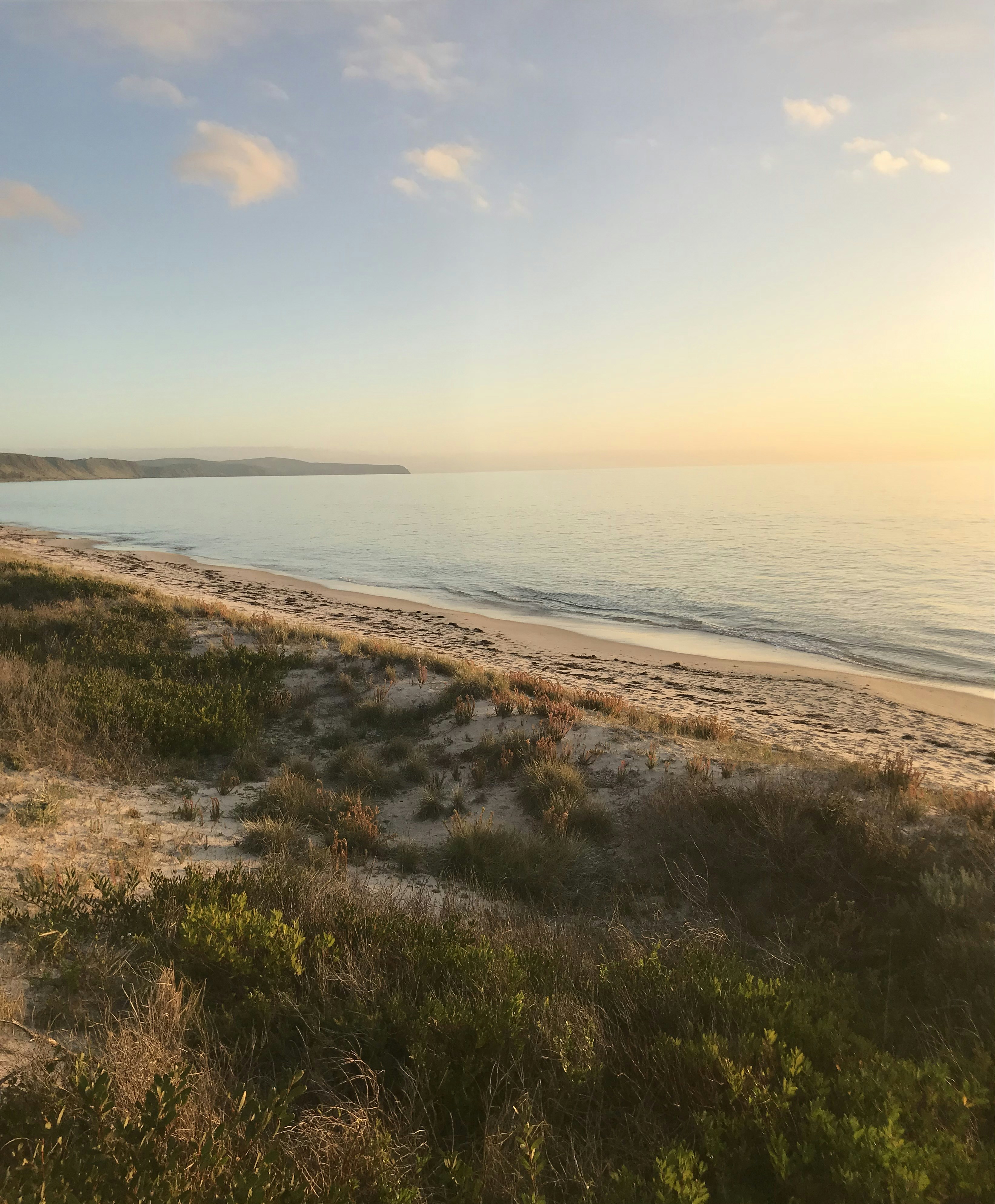 Serene coastal landscape with gentle waves and a golden sunset sky.
