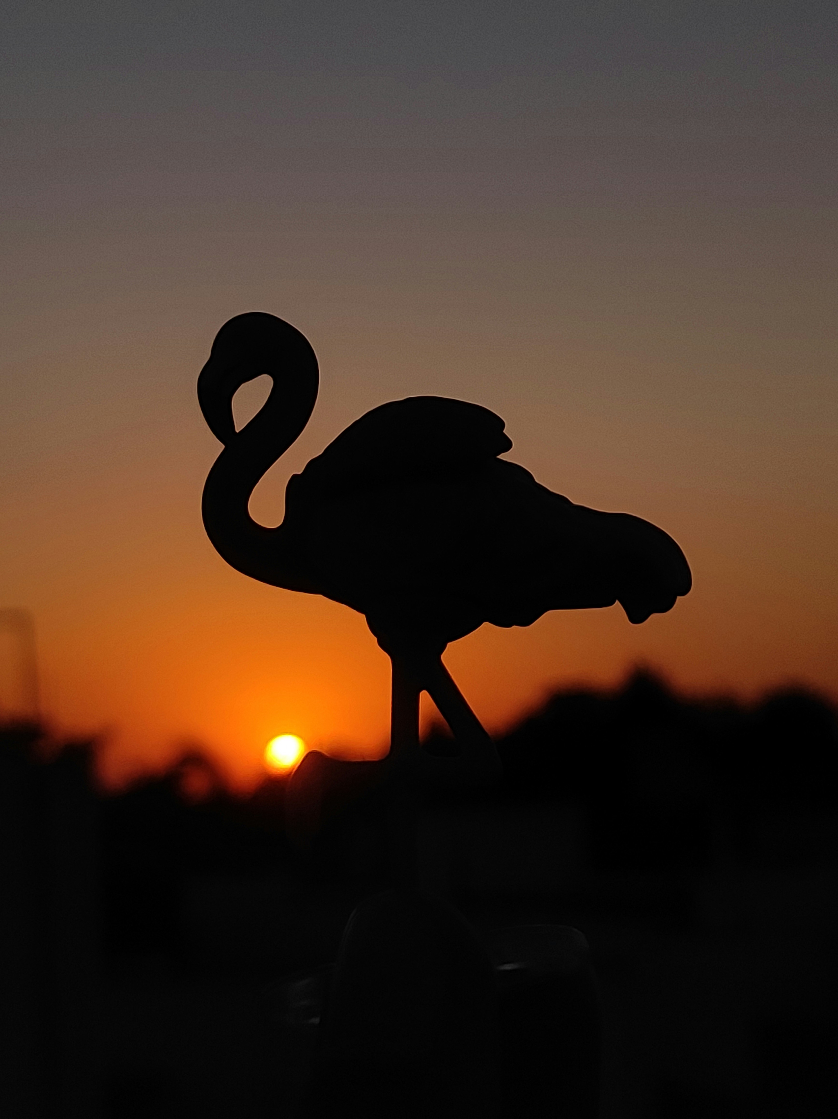 Silhouette of Serenity at Sunset