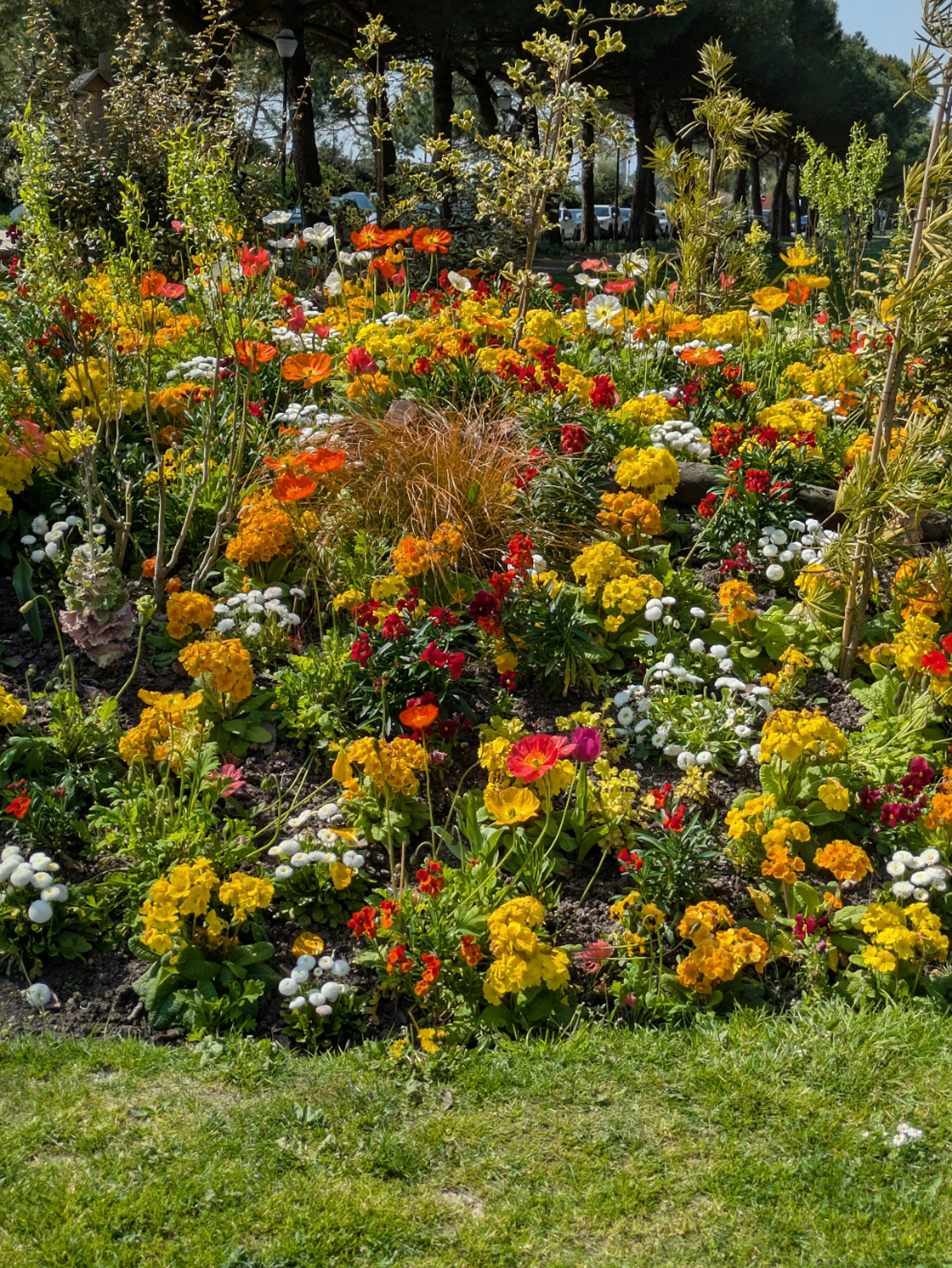 Sample photo from Google Pixel 8a