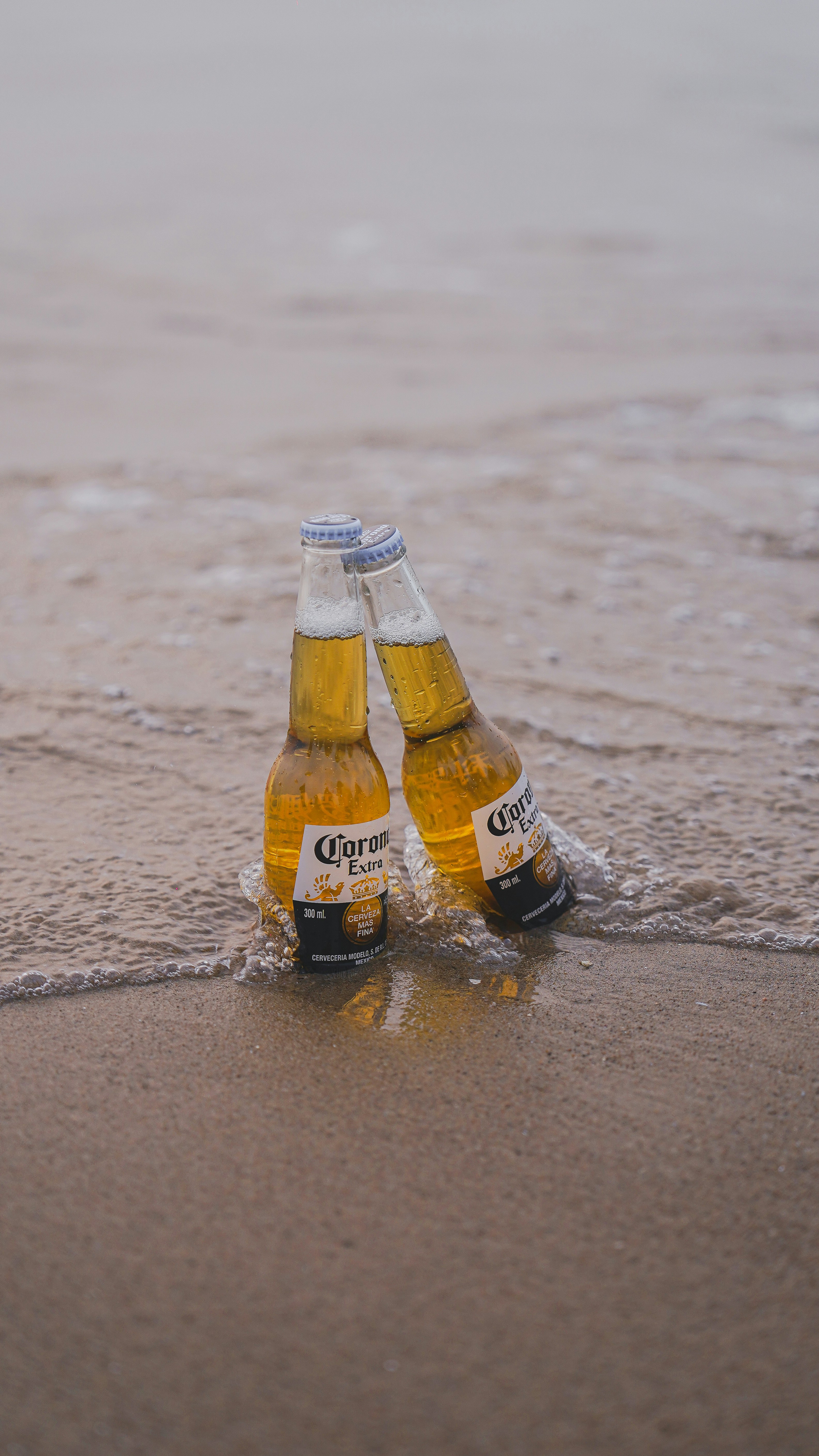 Cheers to the Shoreline: A Toast with Nature