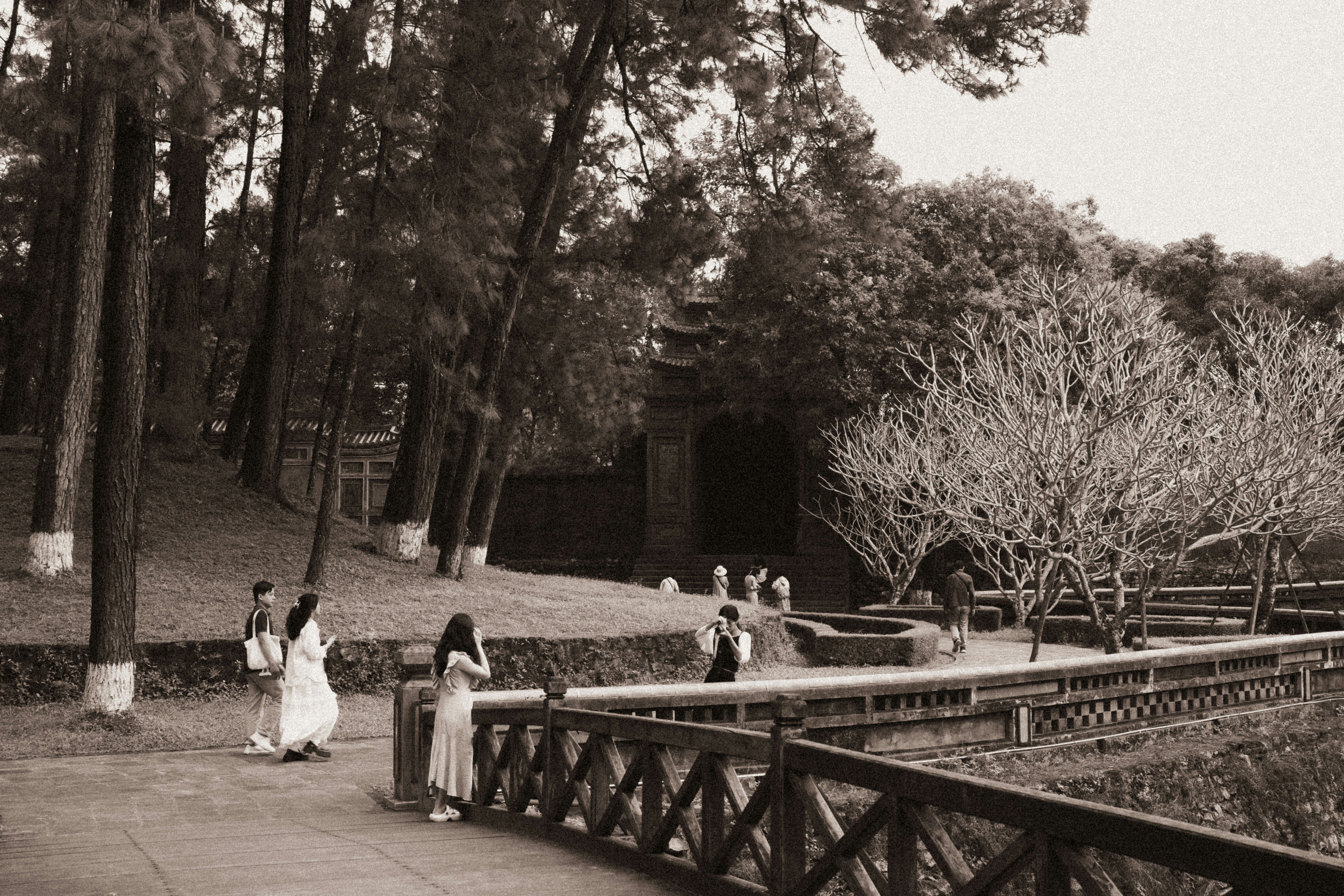 People strolling along a wooden bridge in a serene forest park, captured in sepia tones.