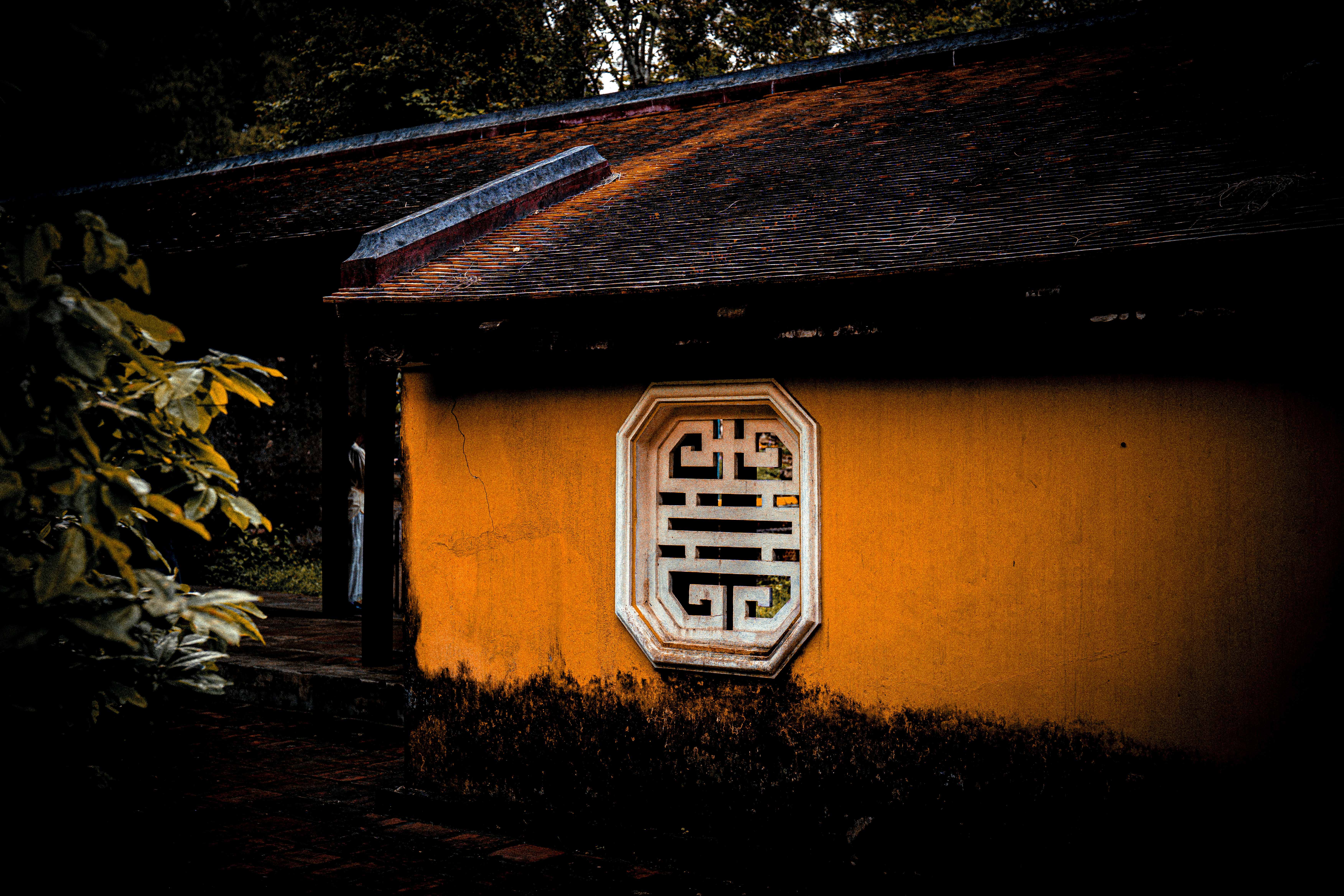 Lattice in Amber Light: A Quiet Courtyard Window