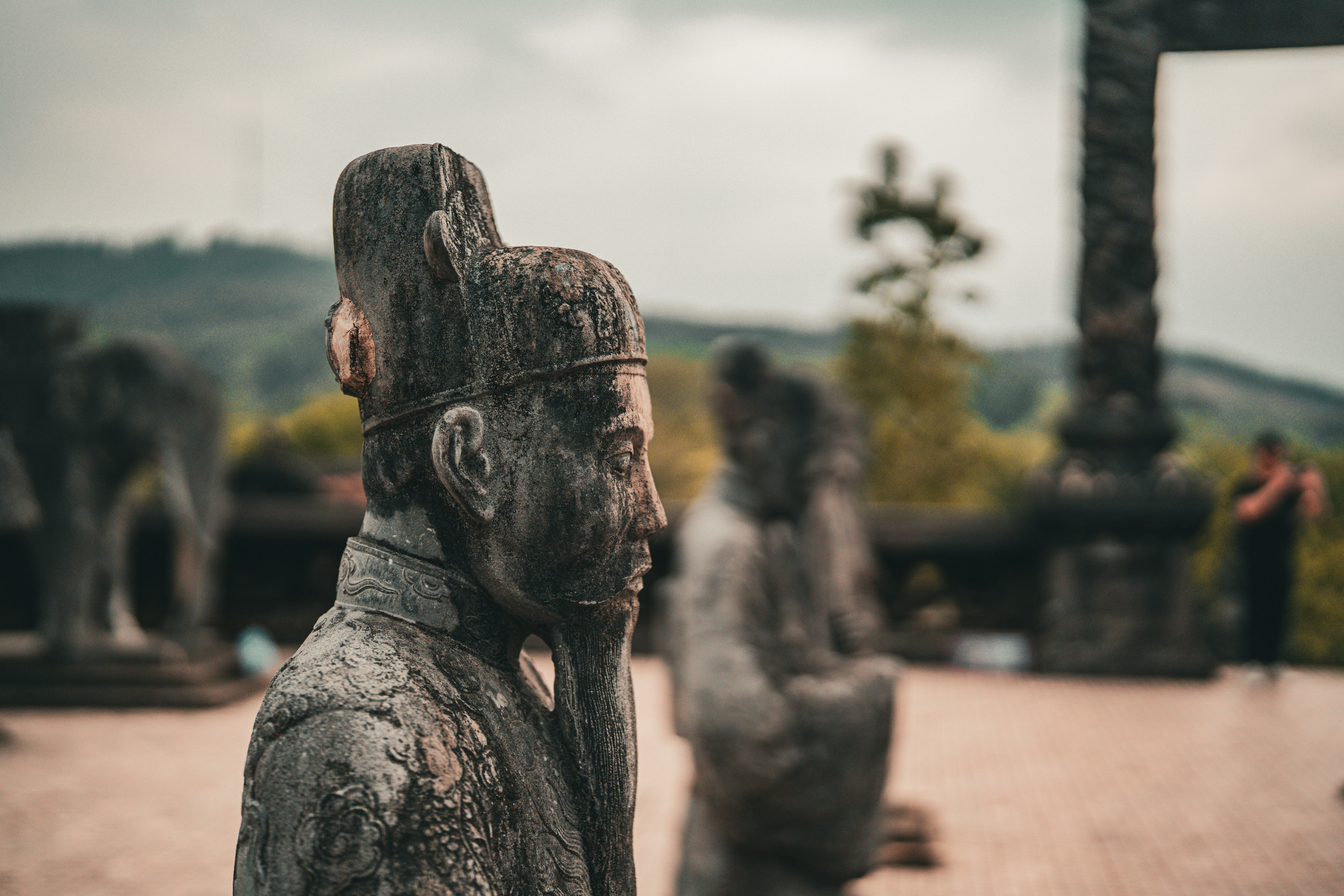 Silent Sentinels on a Fog-Washed Terrace
