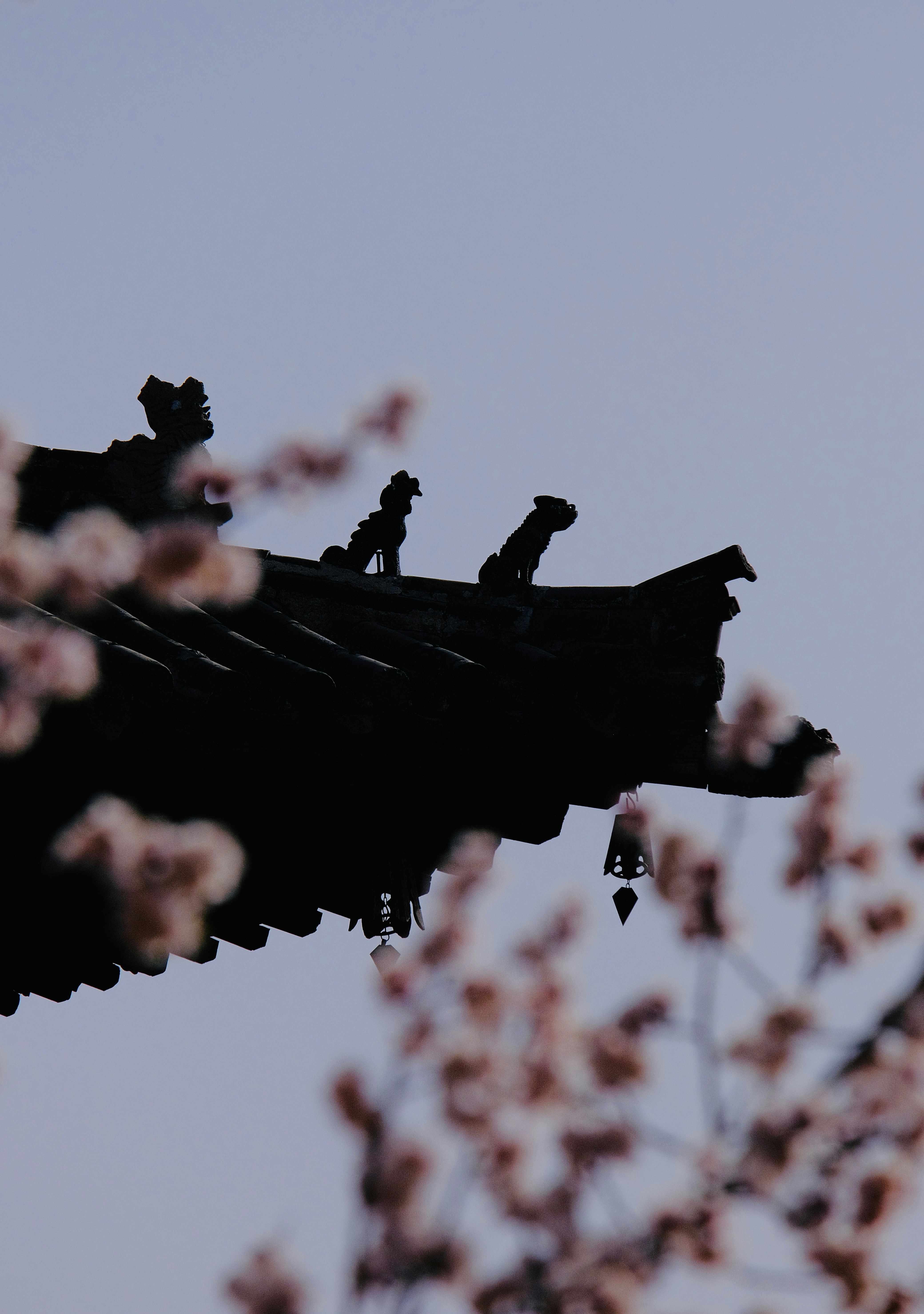 Silhouetted architectural figures atop a traditional roof, framed by out-of-focus cherry blossoms against a clear sky.
