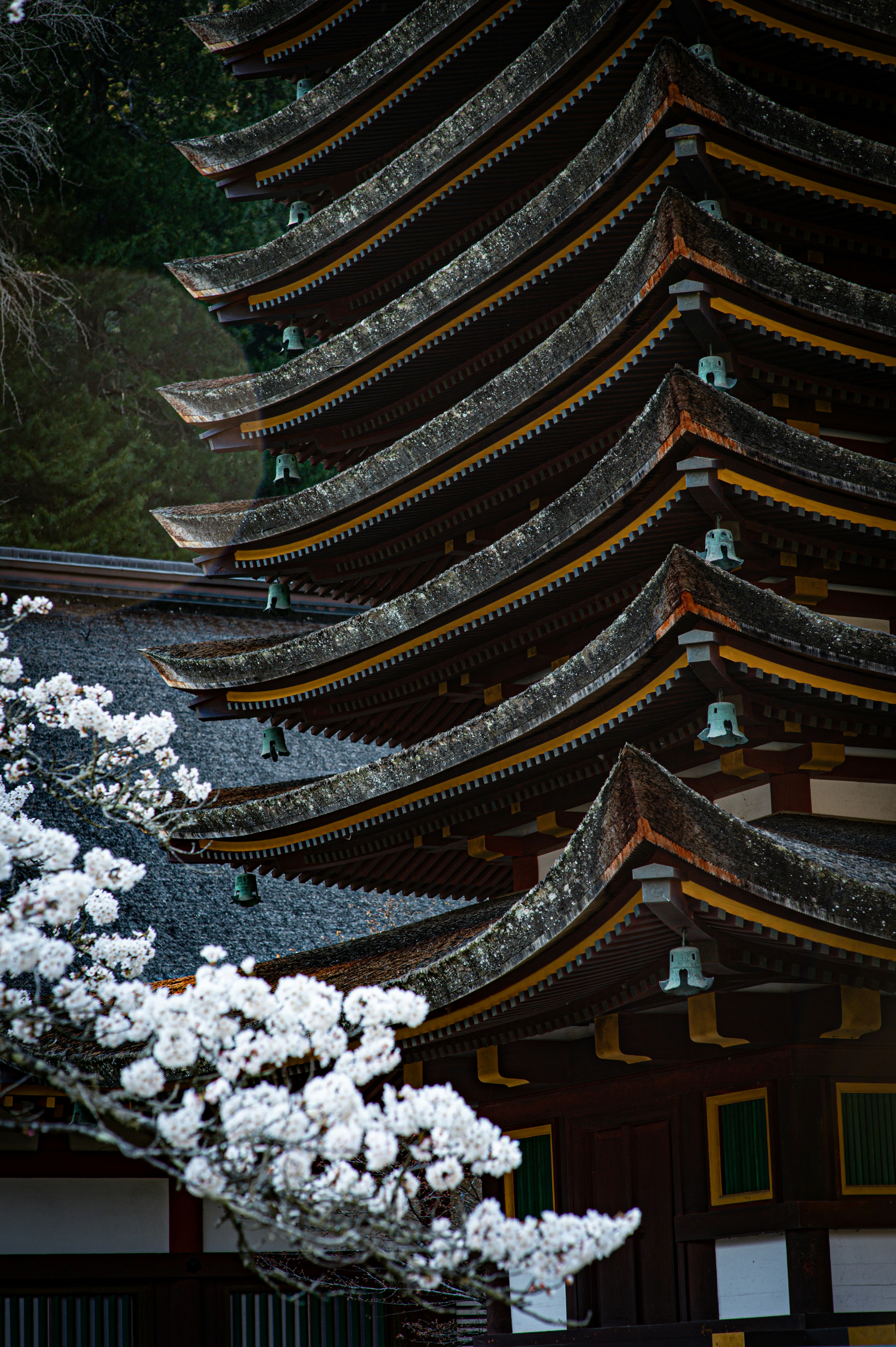 Harmony of Tradition and Nature