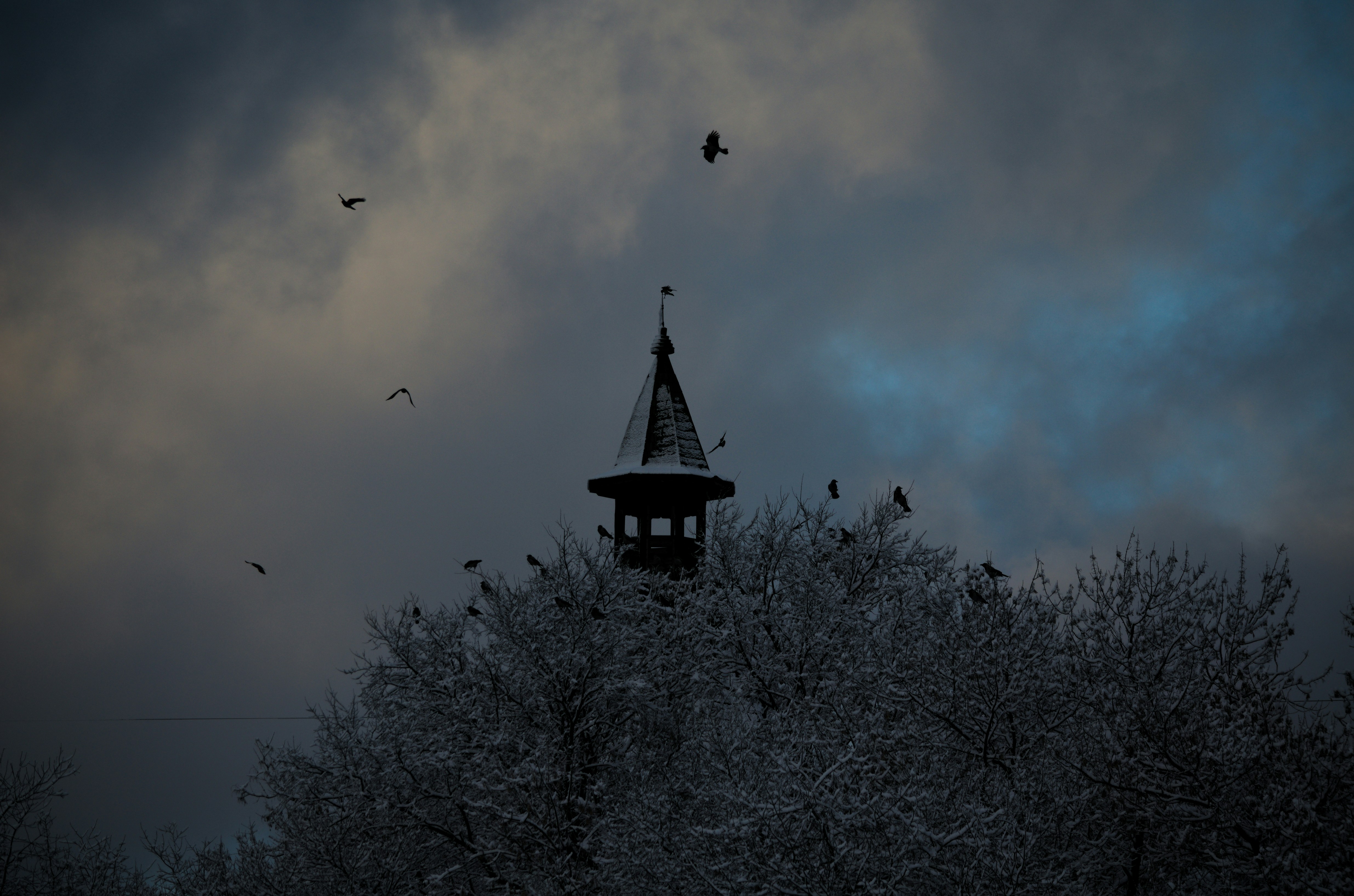 Photo by Evgeniy Bezkorovayniy with Nikon D5100