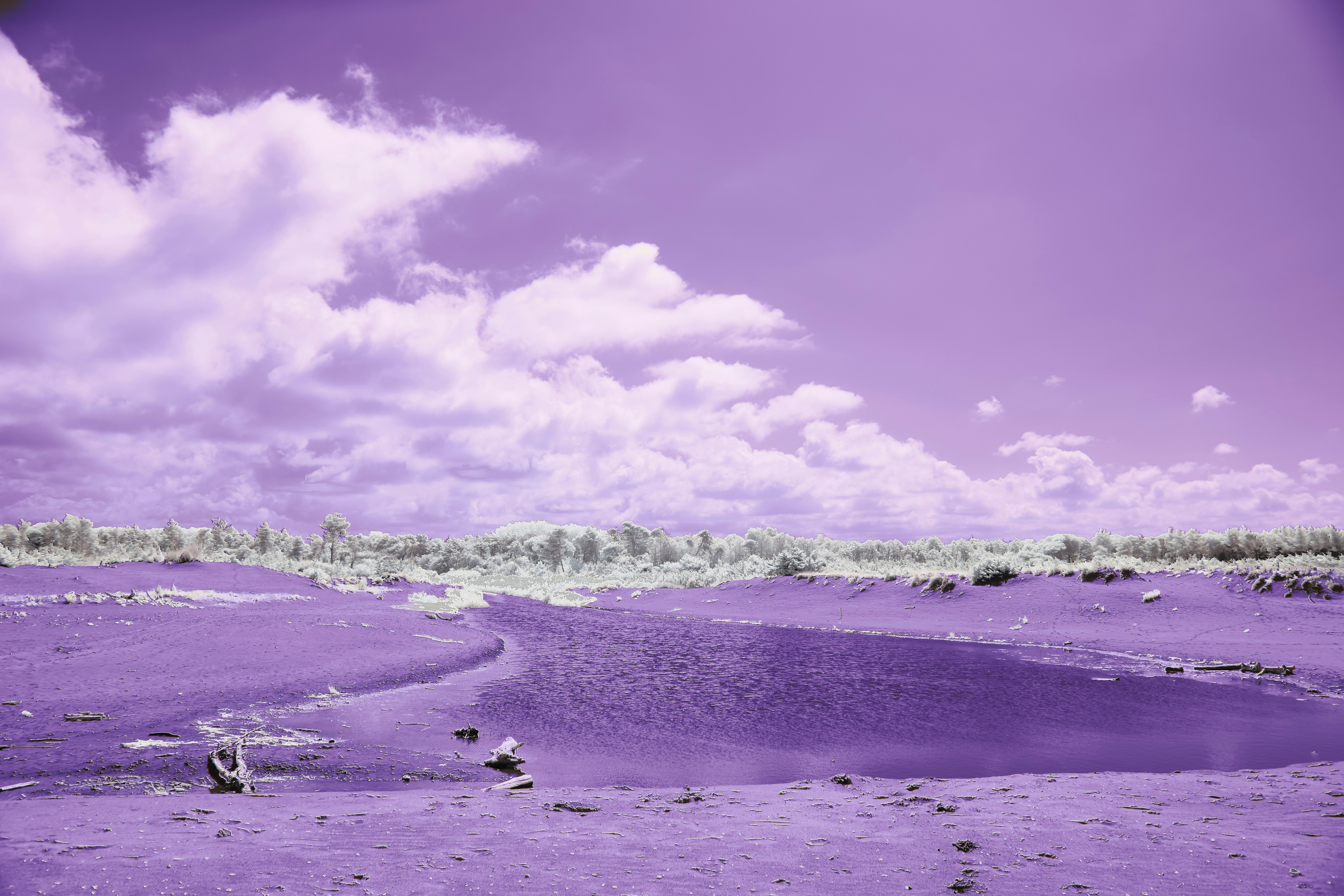 Photo by Wolfgang Hasselmann with Sony Alpha 7 II