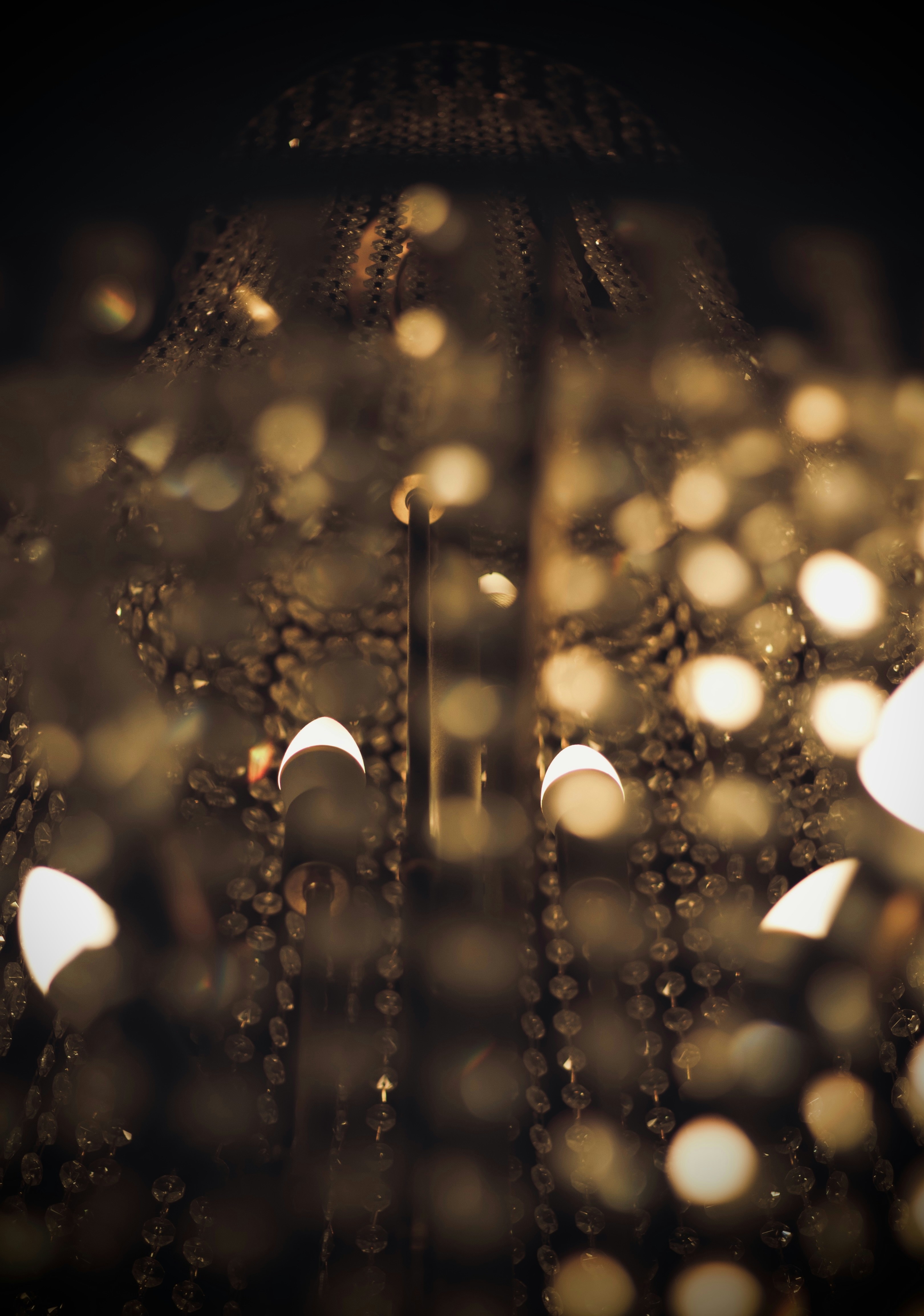 A sparkling chandelier in the dim lighting. photo – Free Lighting Image ...