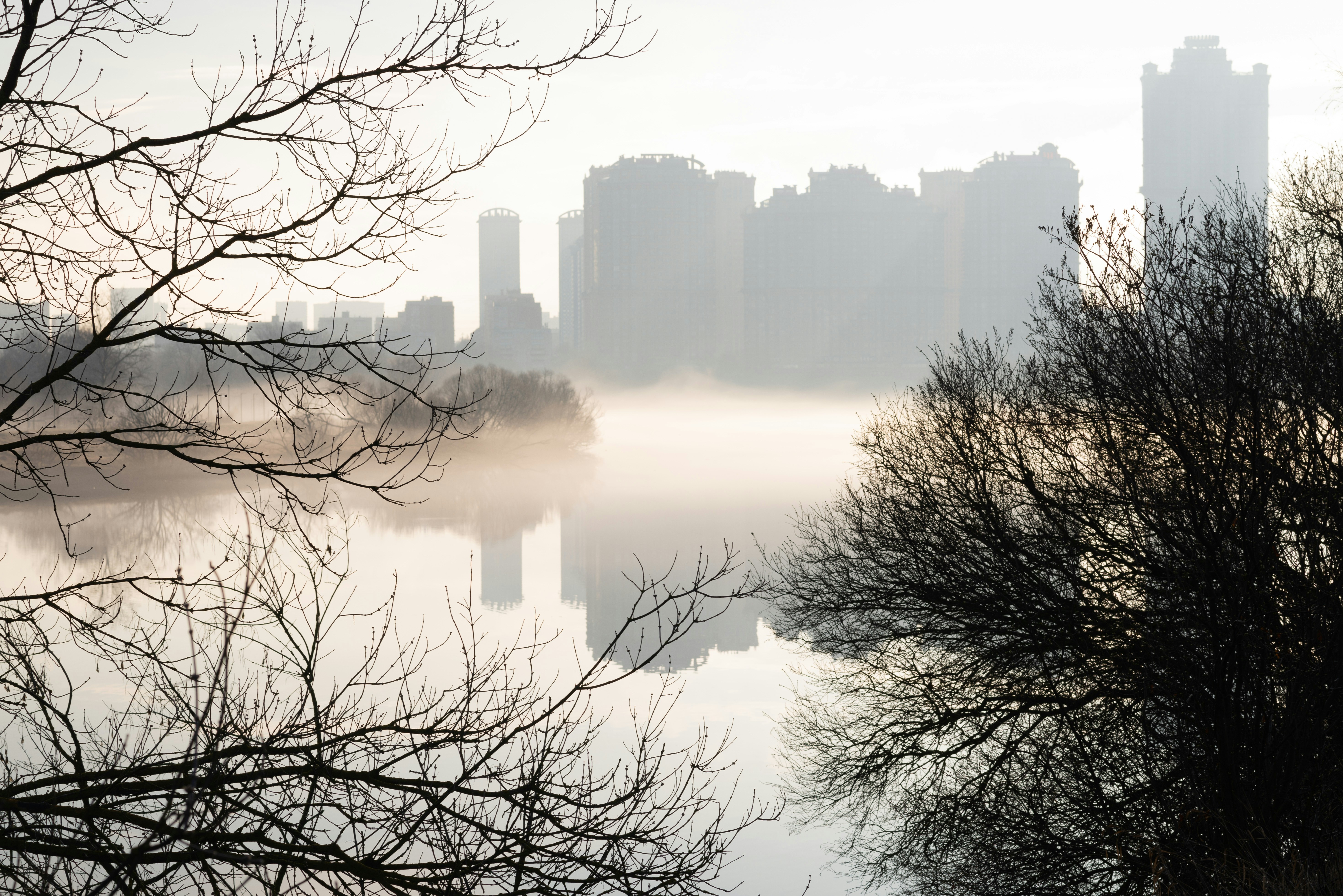 Urban Silhouettes in Morning Mist