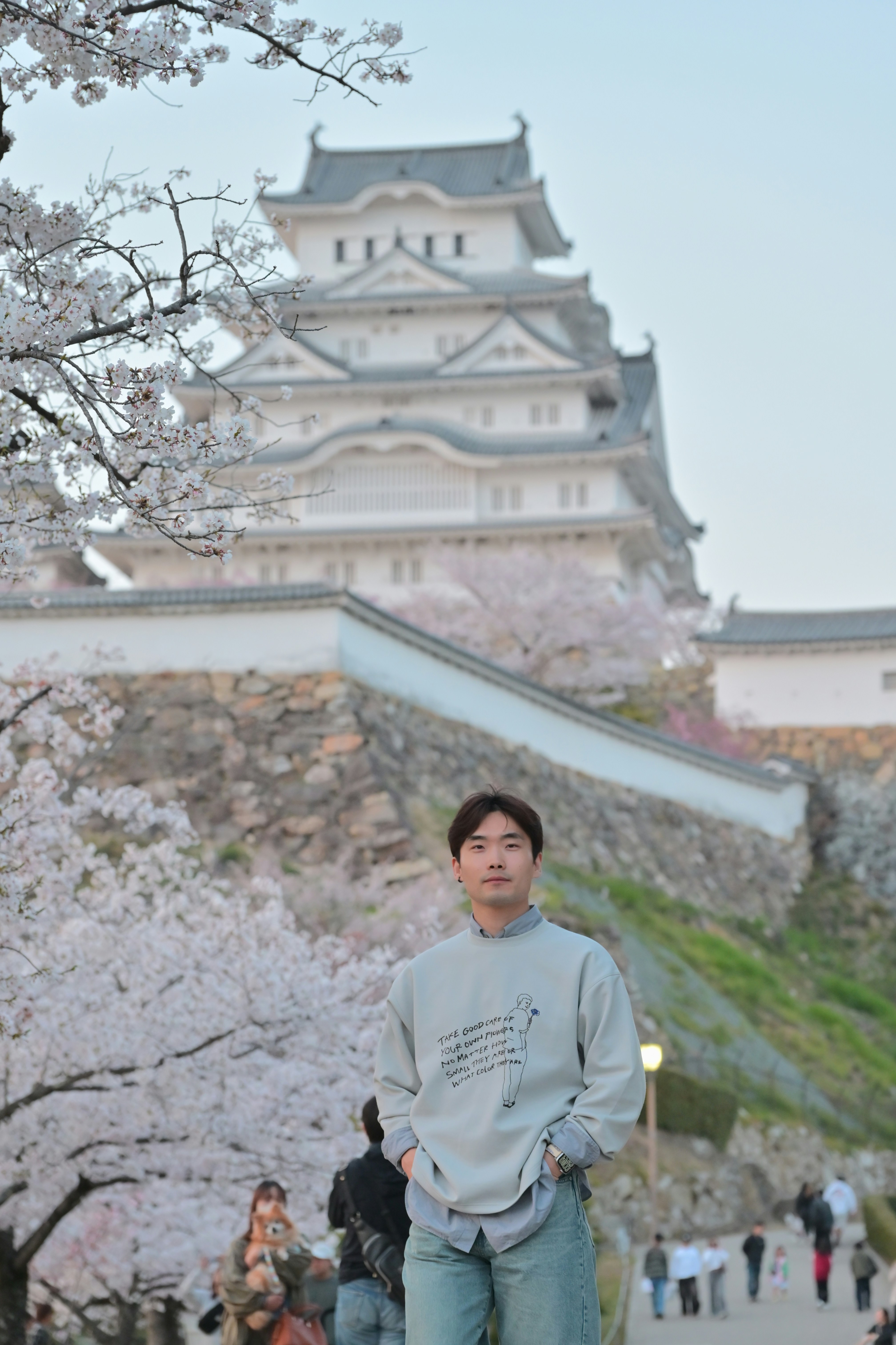 Person standing in front of a historic Japanese castle surrounded by cherry blossoms during springtime.
