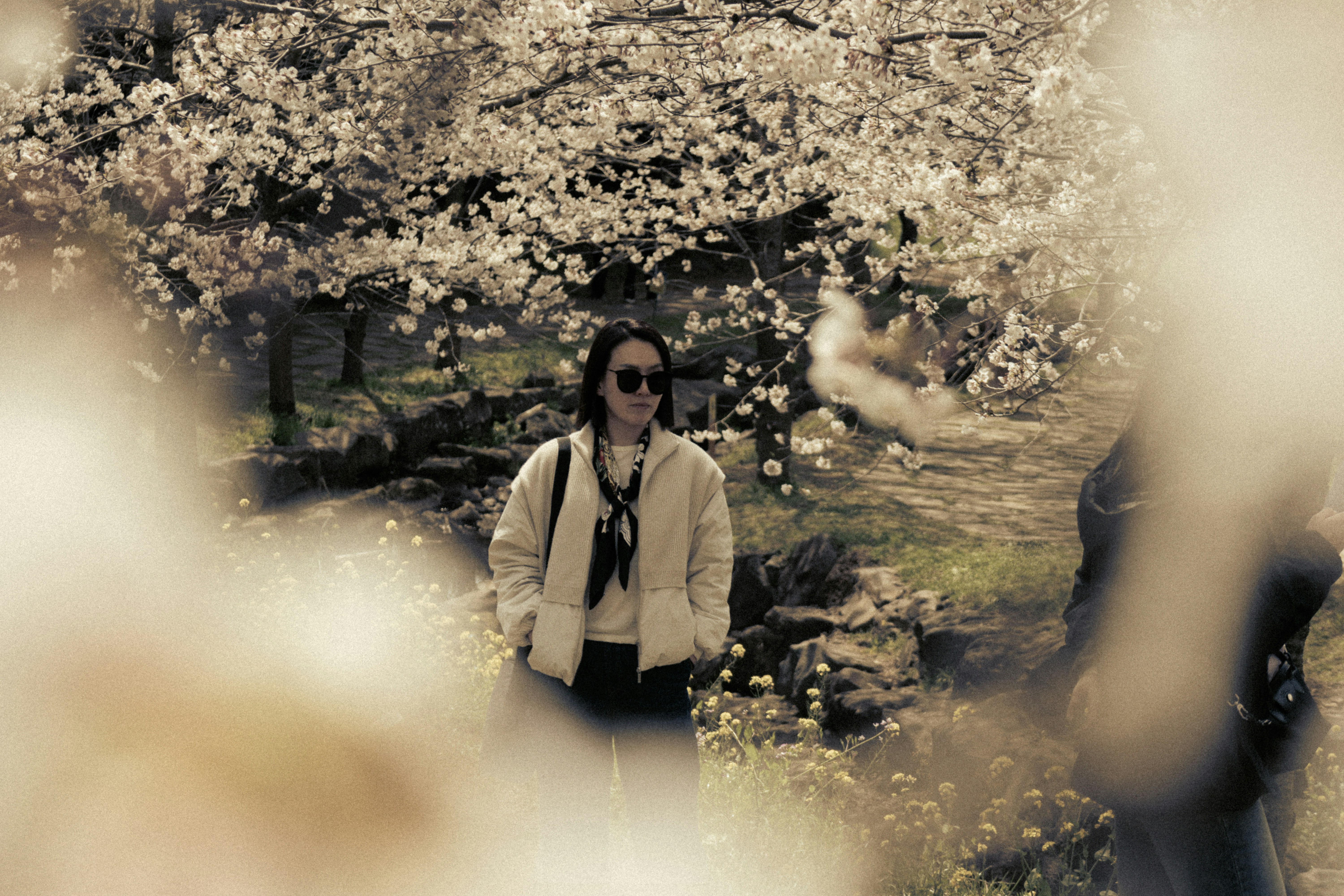 Serenity Amidst Blossoms