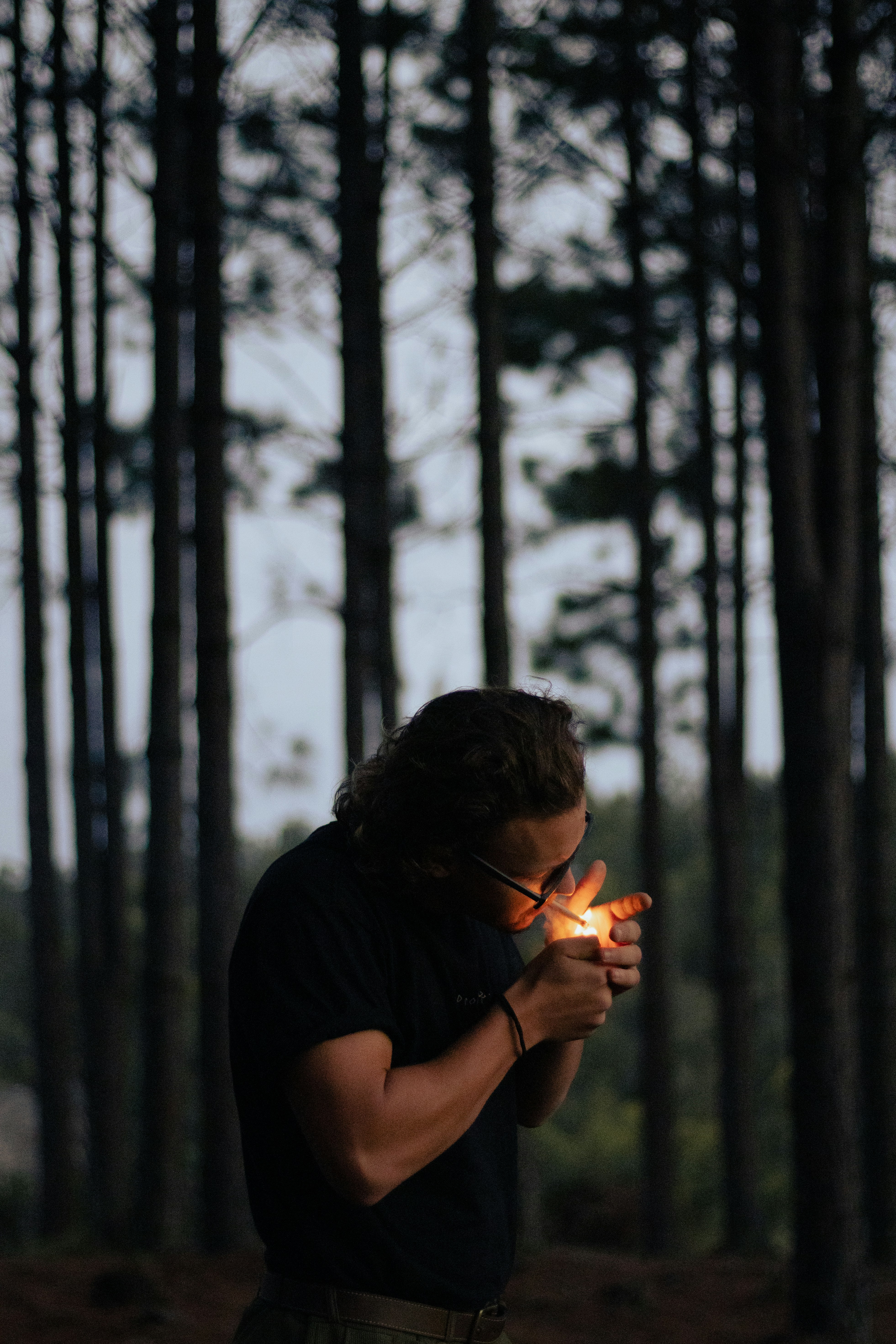 Igniting Moments in the Forest's Embrace