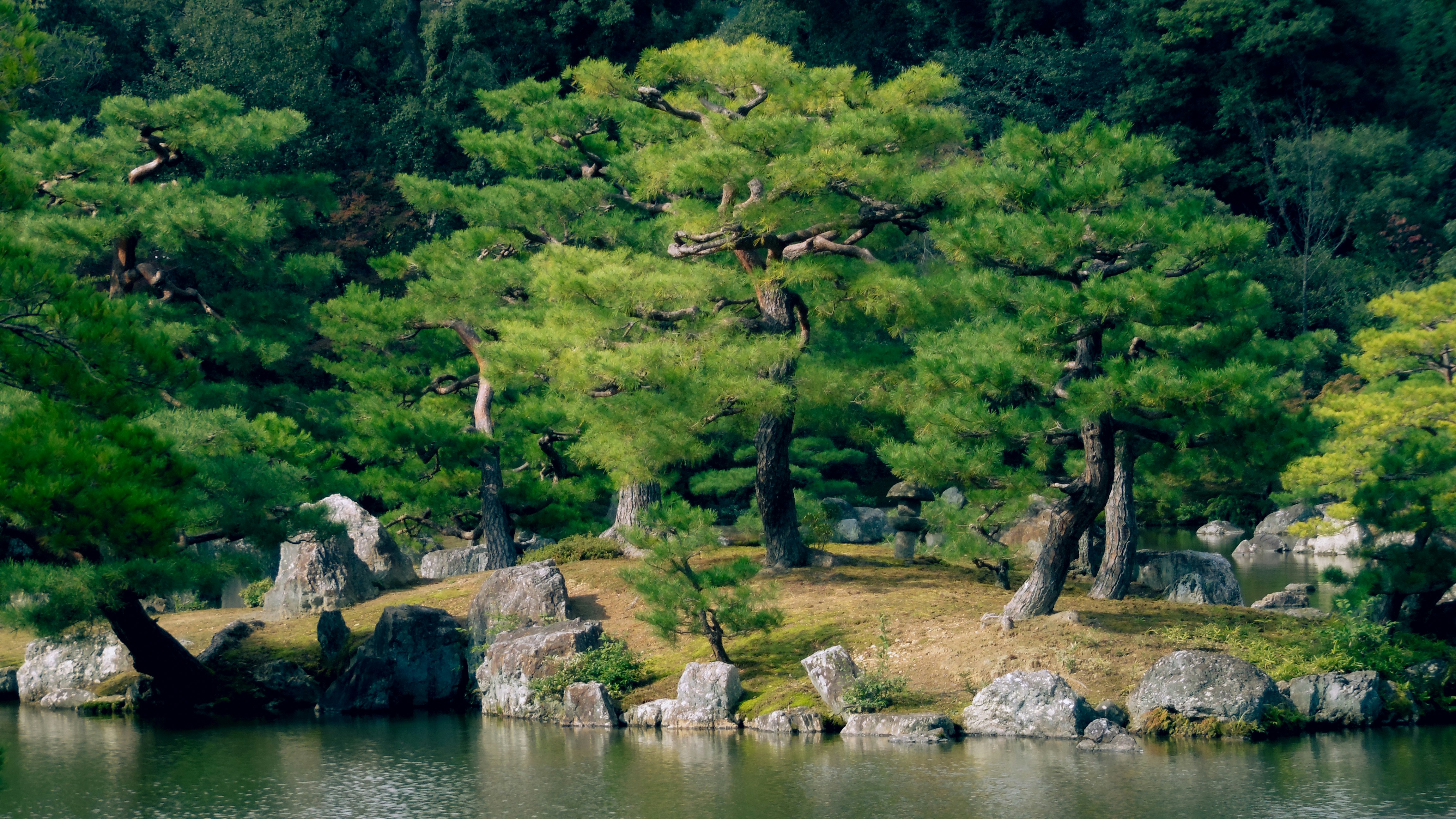 Lush pine trees and rocks reflected in the tranquil waters of Kinkakuji Temple's garden.