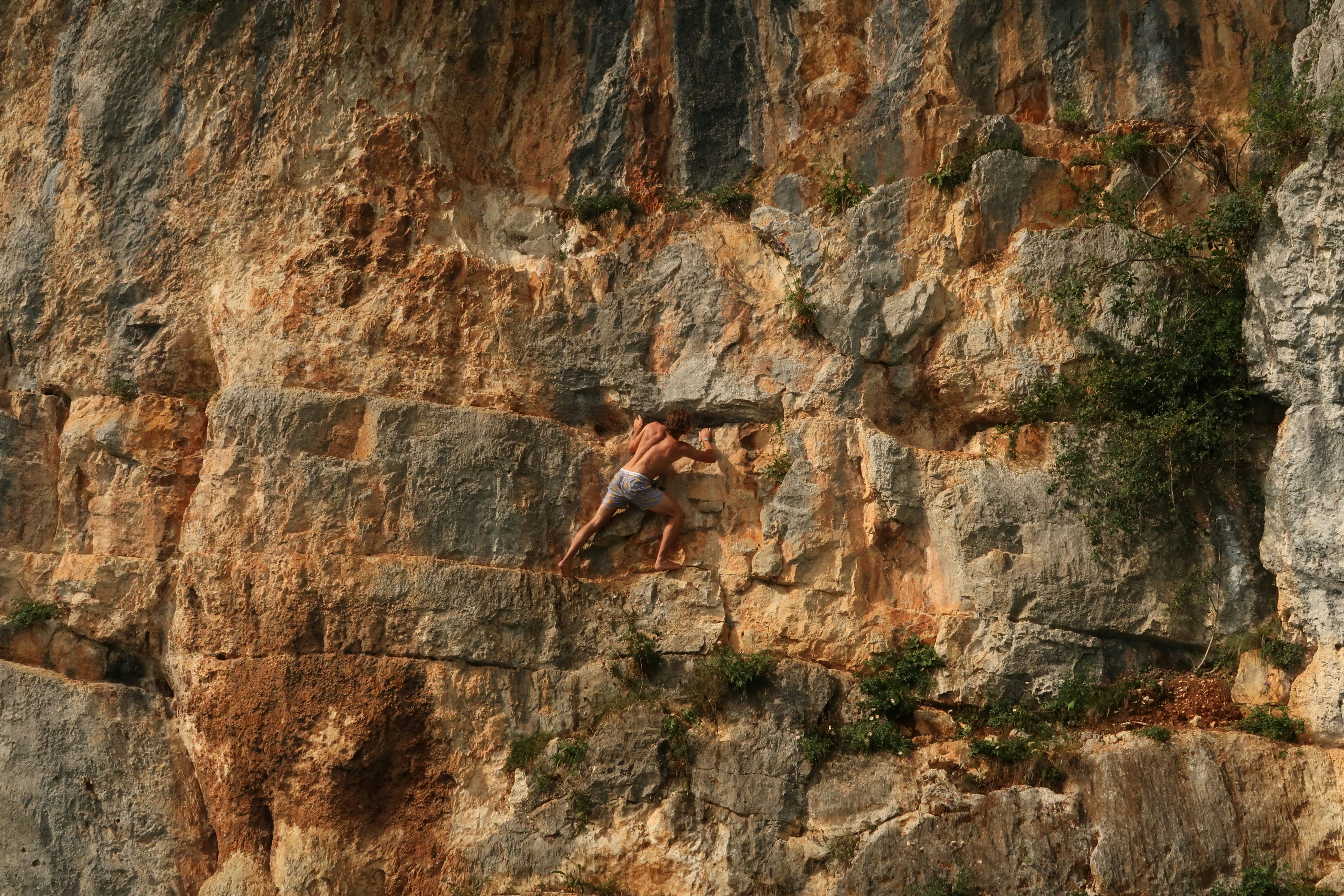 Climber navigating a sheer rock face with patches of greenery.