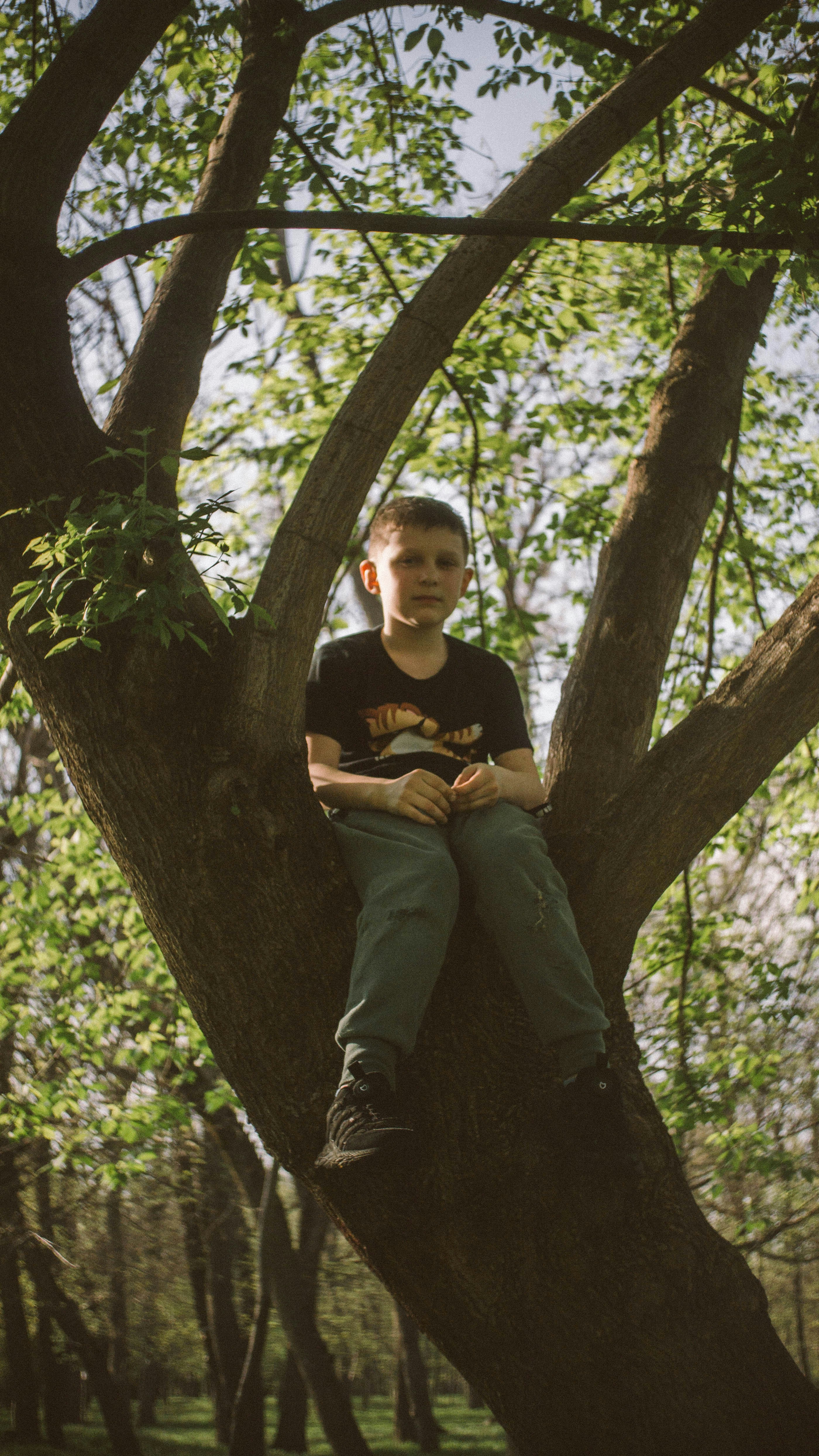 Child sitting in the fork of a tree surrounded by lush green foliage on a sunny day.